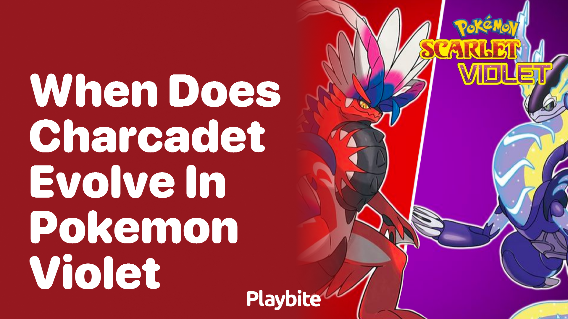 When does Charcadet evolve in Pokemon Violet? - Playbite