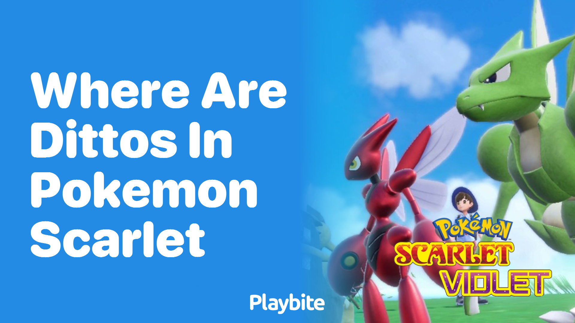 Where are Dittos in Pokemon Scarlet? - Playbite