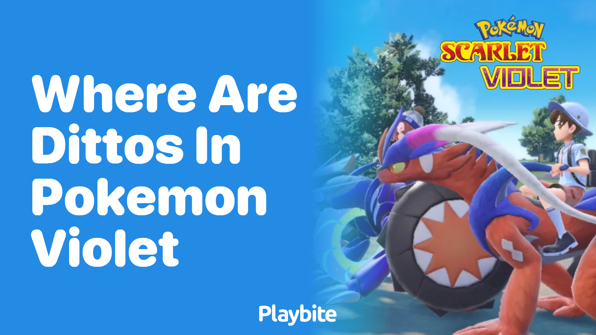 Where are Dittos in Pokemon Violet? - Playbite