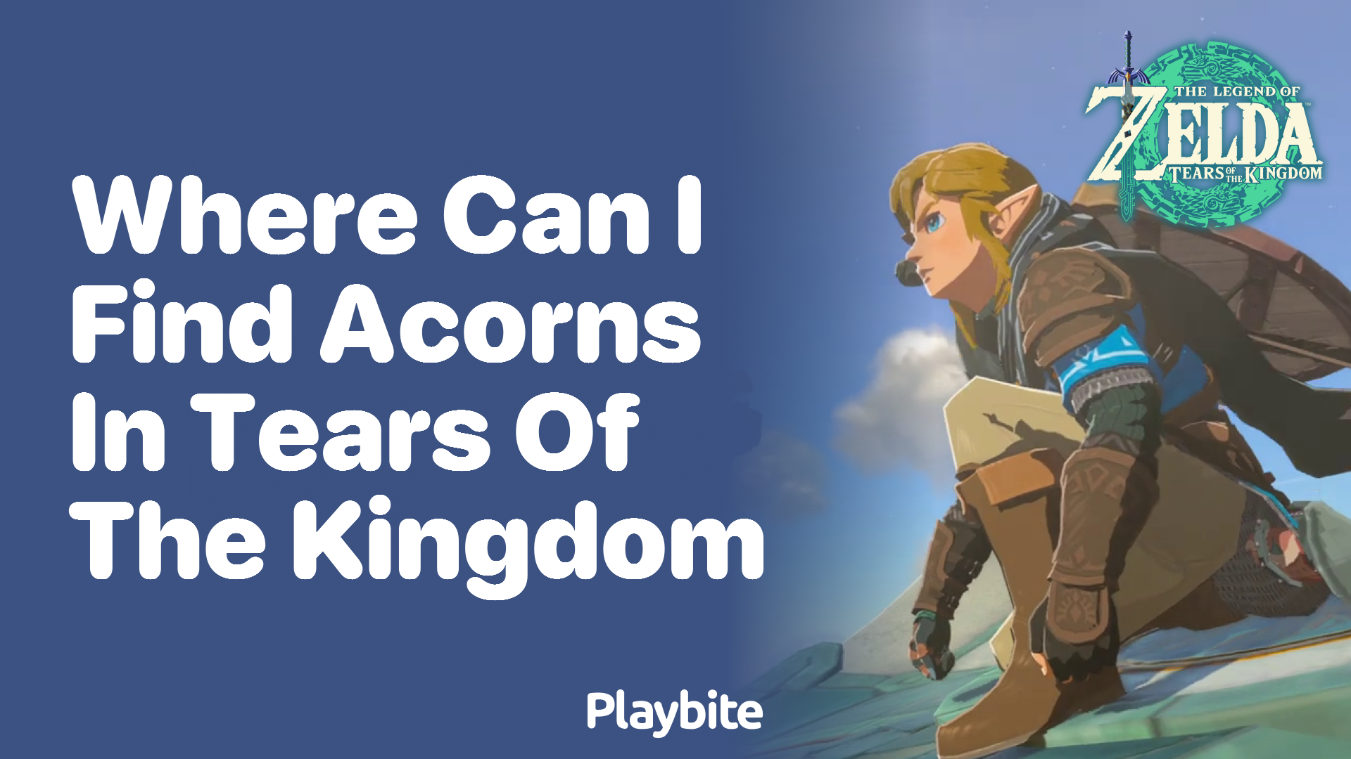 Where Can I Find Acorns in Tears of the Kingdom? - Playbite