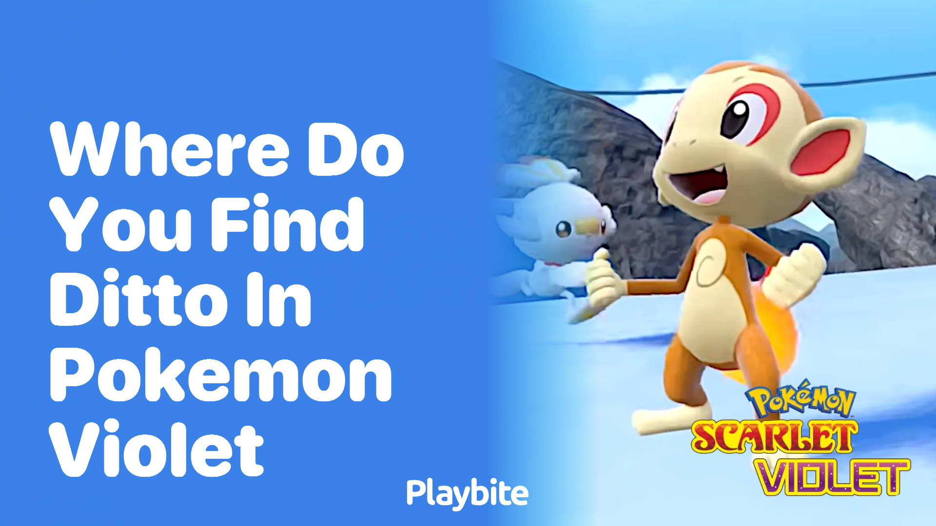 Where do you find Ditto in Pokémon Violet? - Playbite