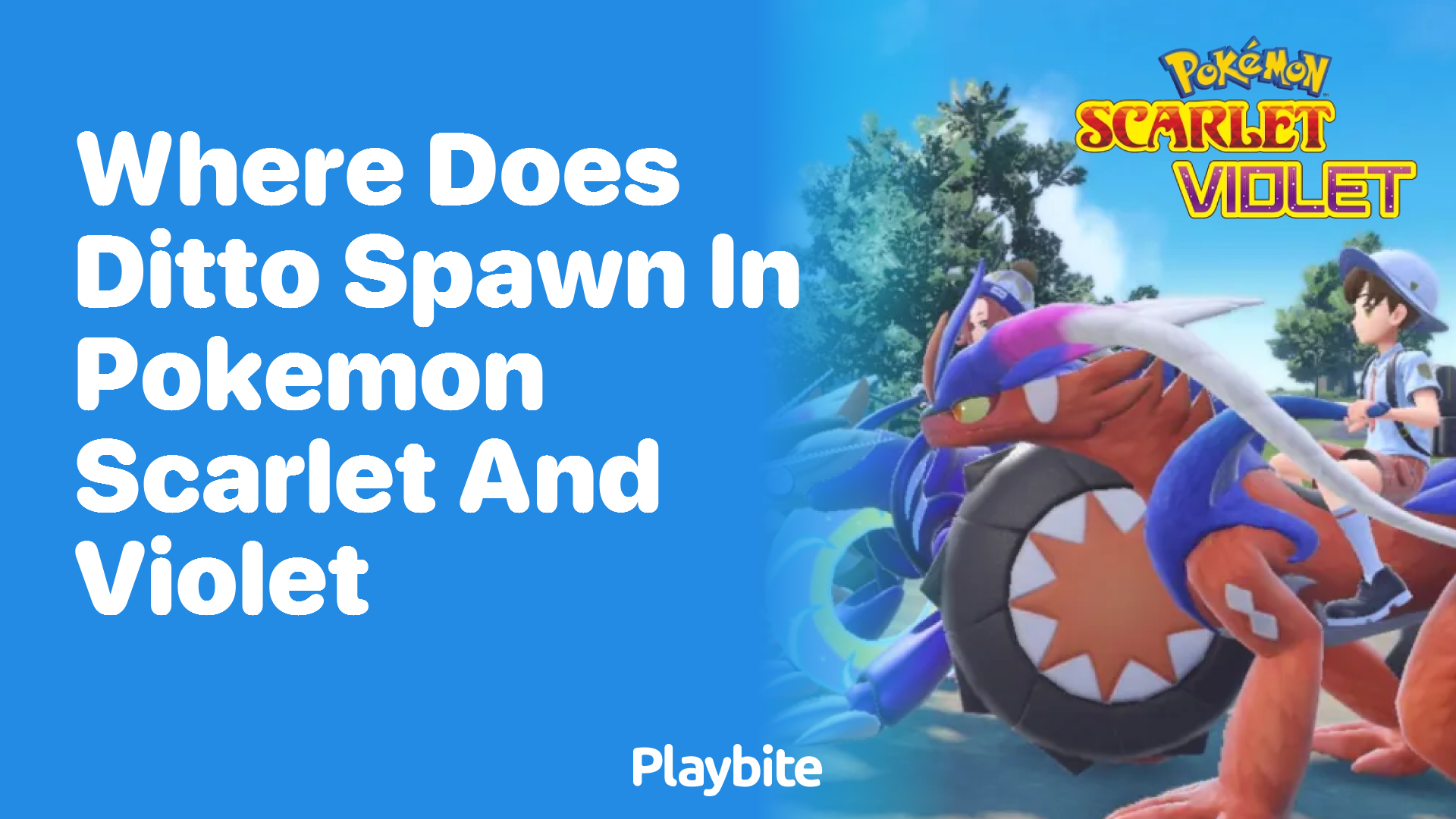 Where does Ditto spawn in Pokemon Scarlet and Violet? - Playbite