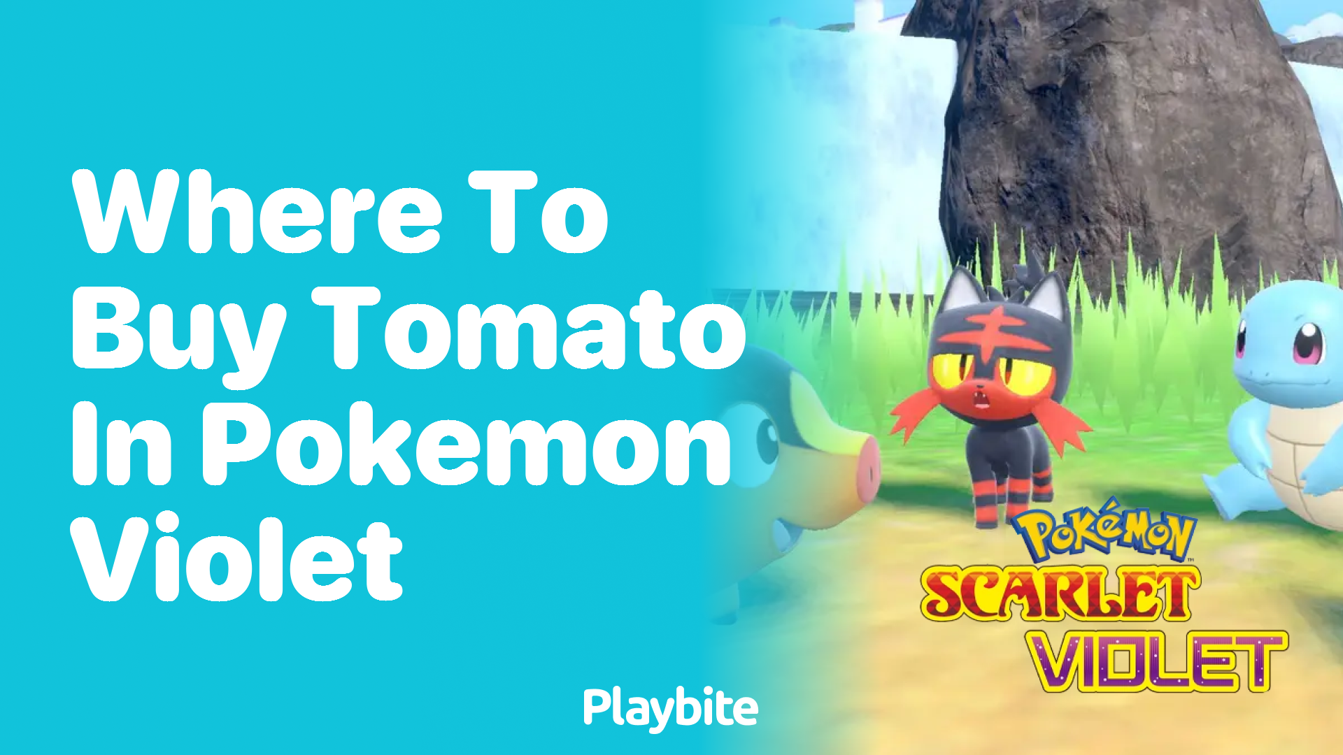 Where to Buy Tomato in Pokémon Violet - Playbite