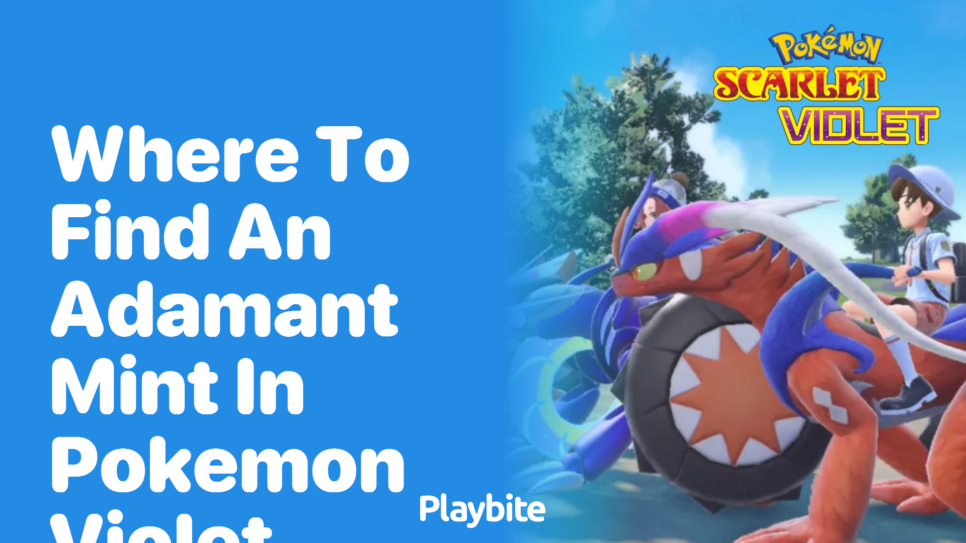 Where to Find an Adamant Mint in Pokemon Violet - Playbite