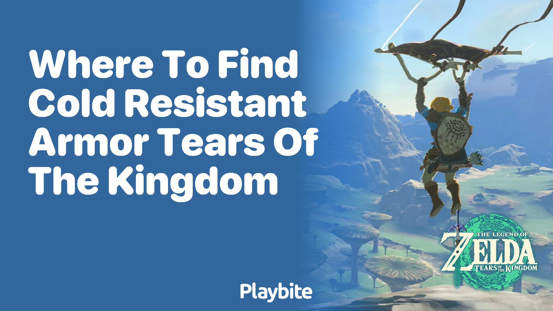 Where to Find Cold Resistant Armor in Tears of the Kingdom - Playbite