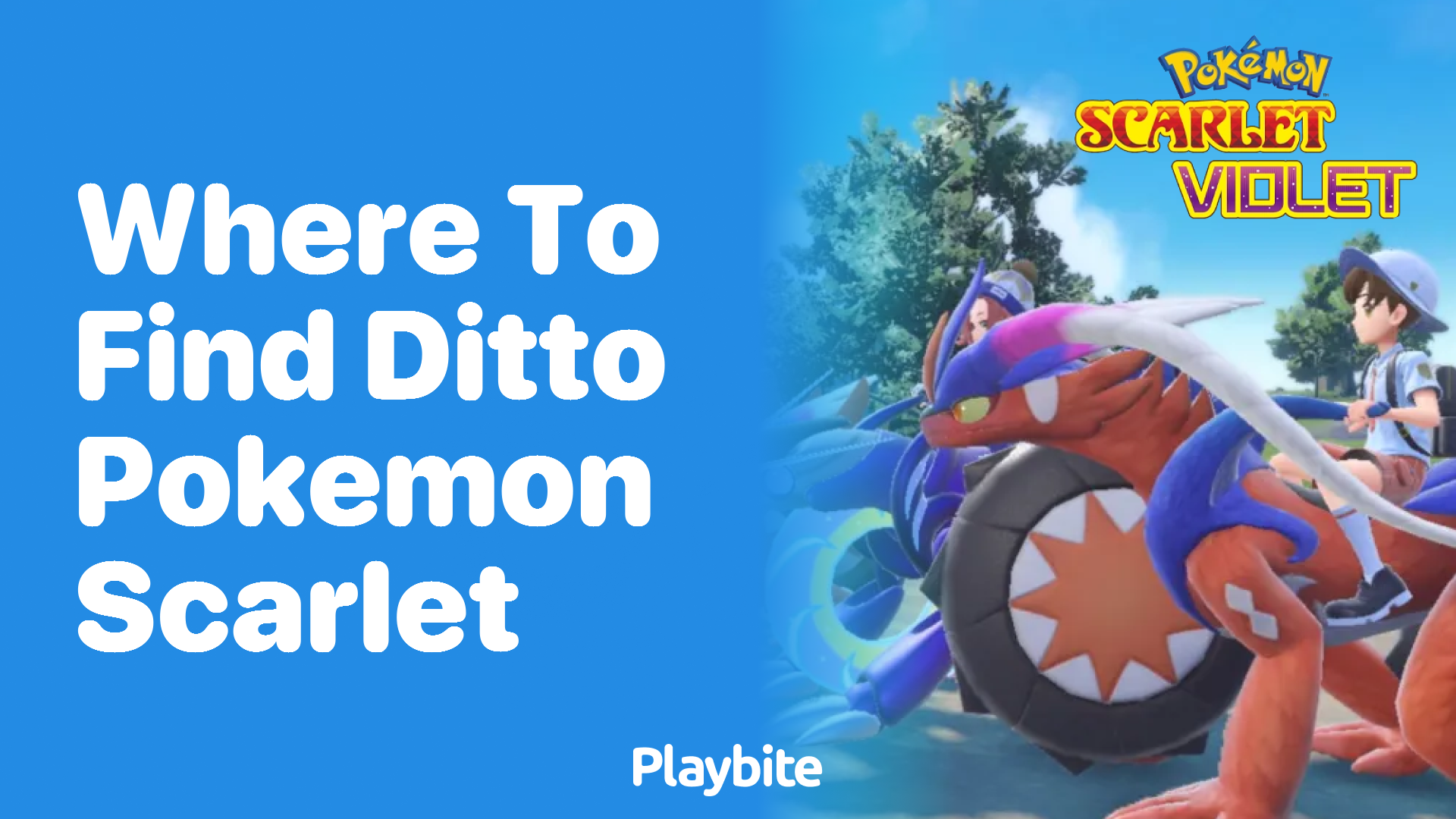Where to Find Ditto in Pokemon Scarlet - Playbite