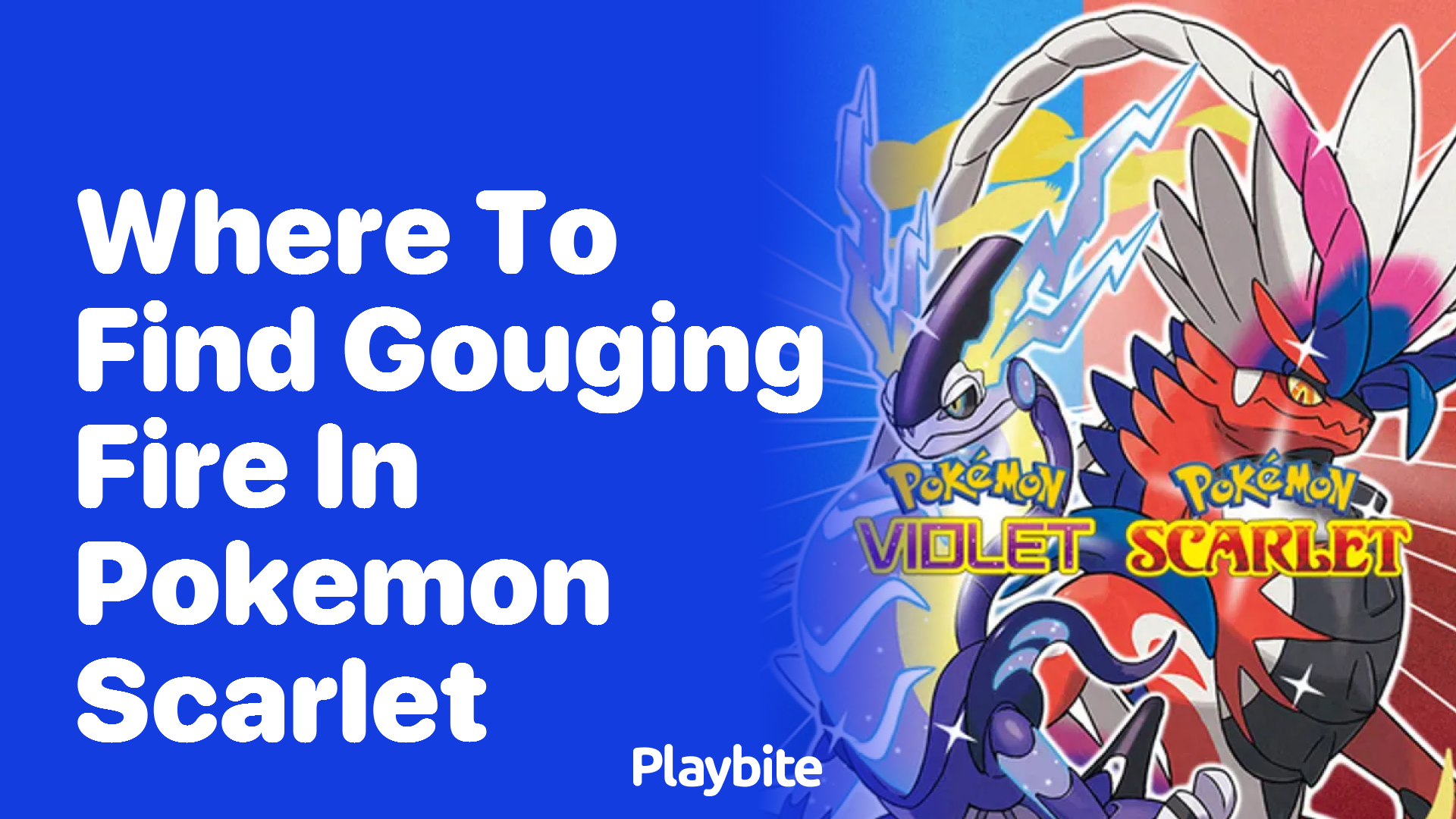 Where to find Gouging Fire in Pokemon Scarlet - Playbite