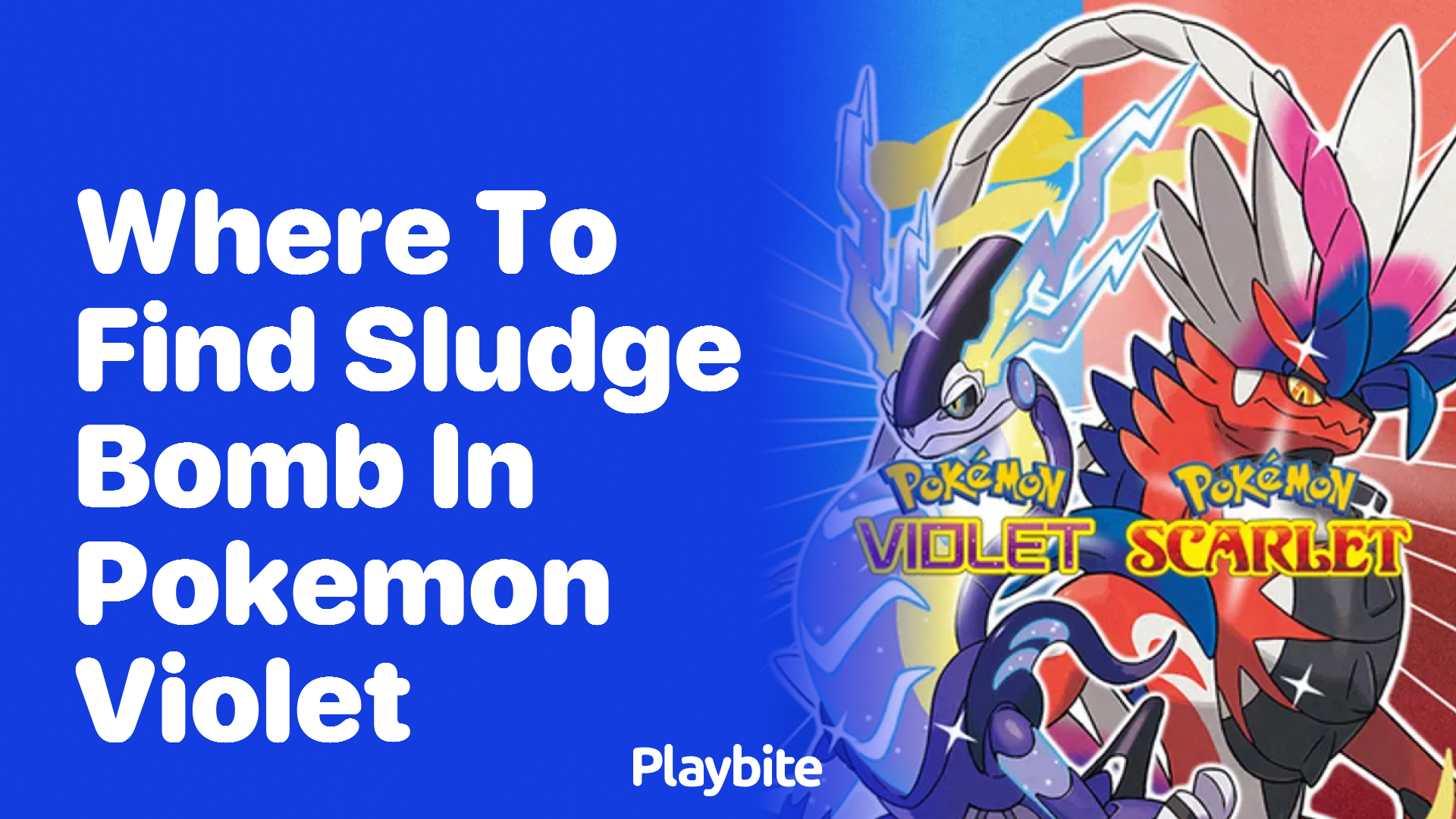 Where to find Sludge Bomb in Pokemon Violet - Playbite