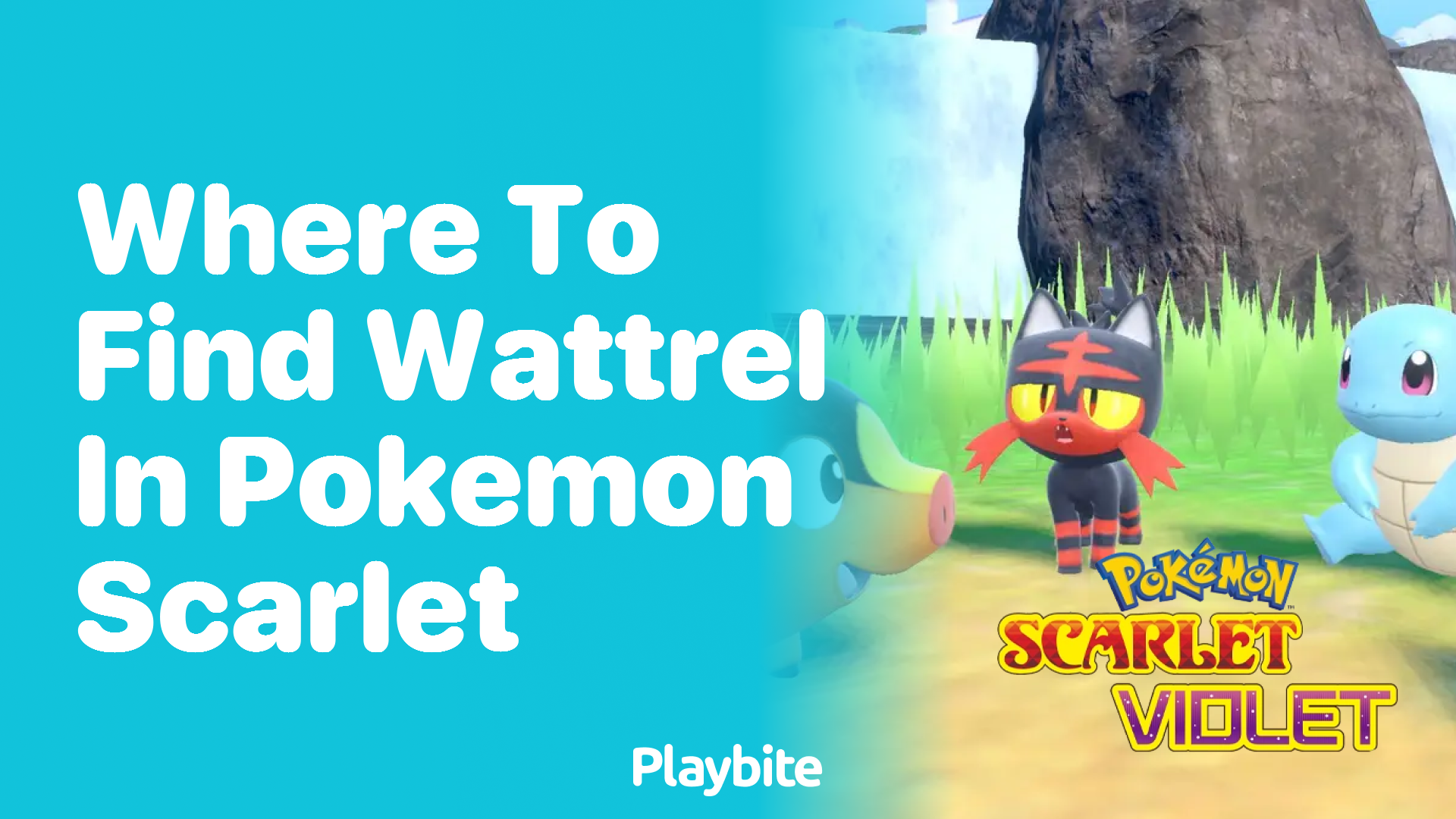 Where to Find Wattrel in Pokemon Scarlet - Playbite