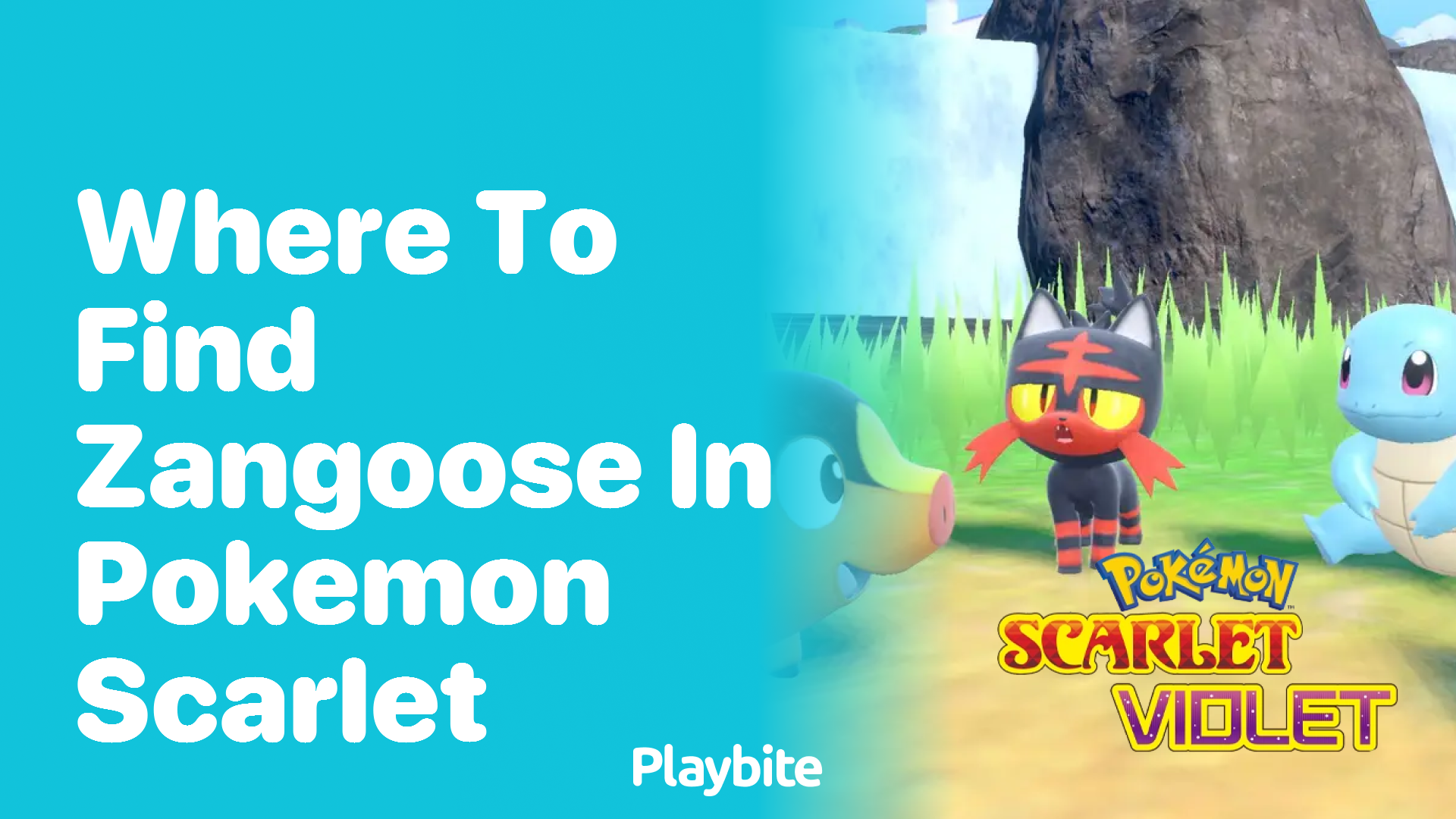 Where to Find Zangoose in Pokémon Scarlet - Playbite