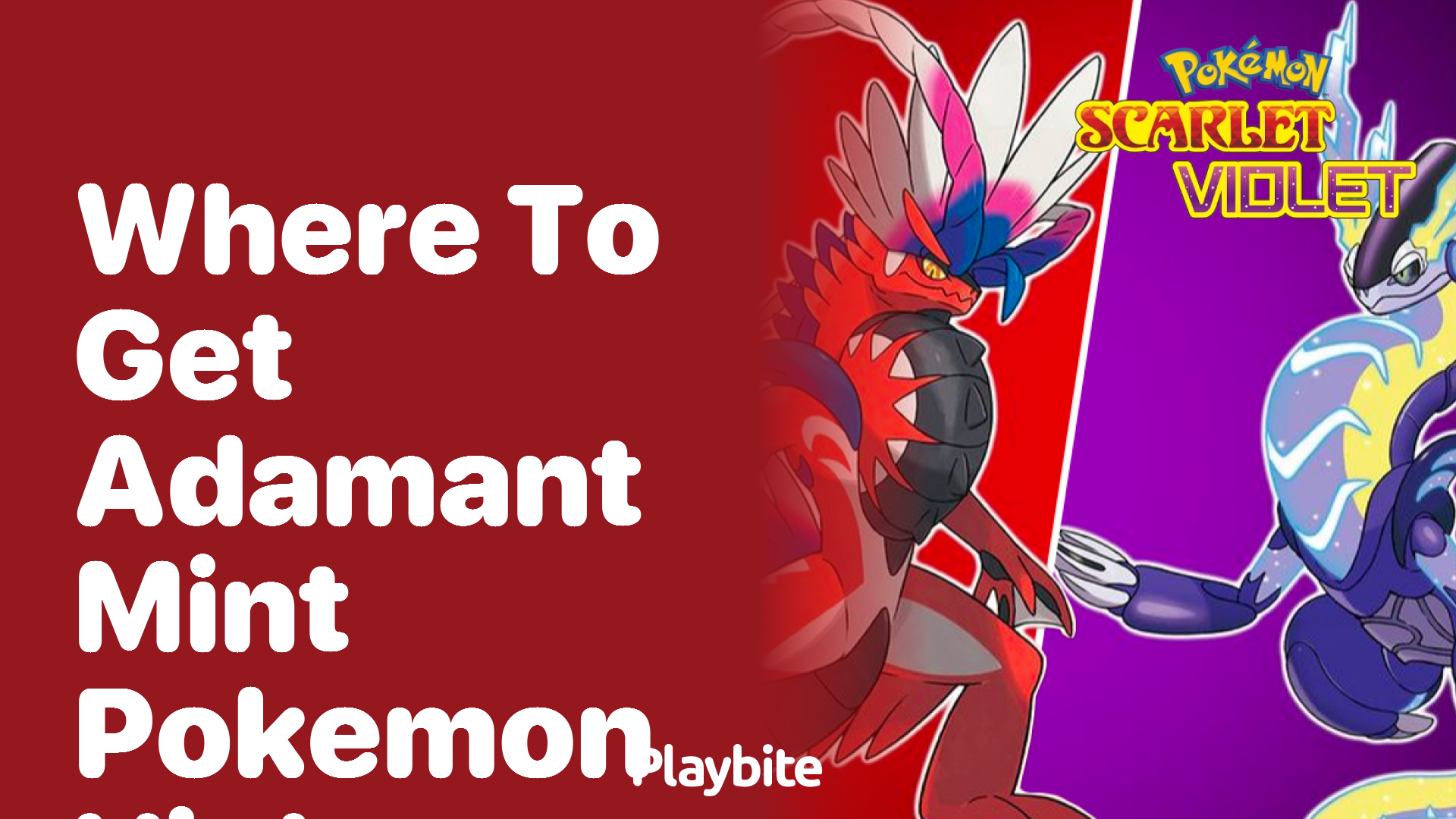 Where to Get Adamant Mint in Pokémon Violet - Playbite