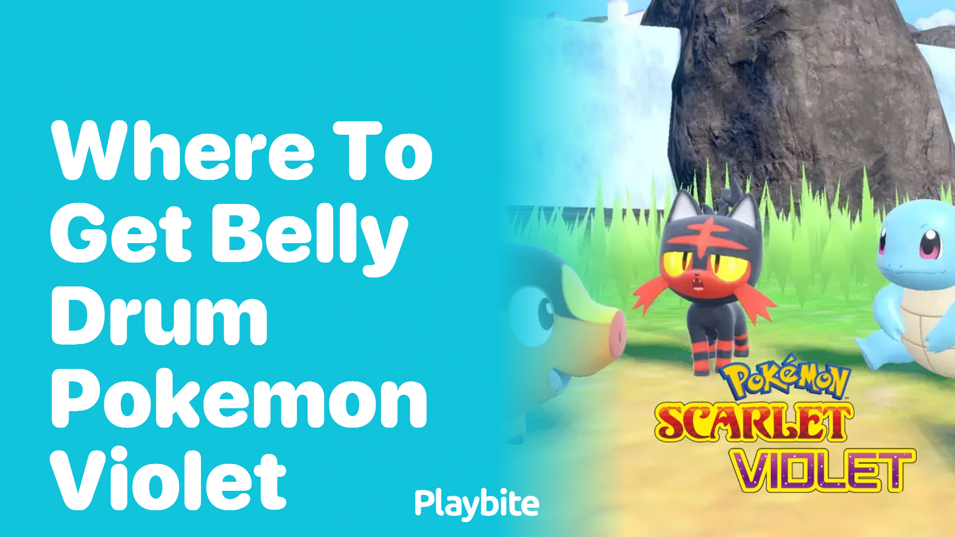 Where to get Belly Drum in Pokemon Violet - Playbite