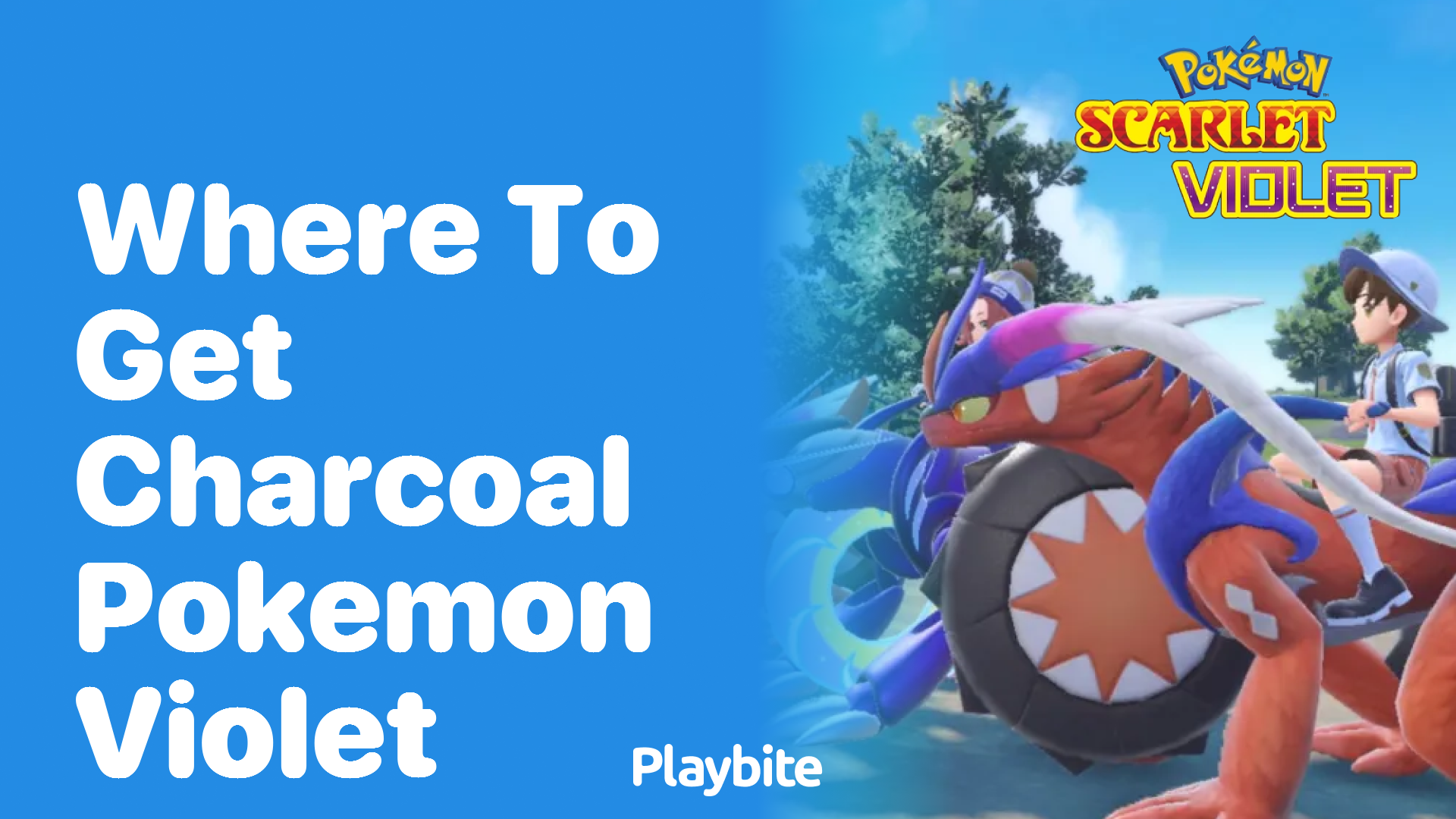 Where to Get Charcoal in Pokemon Violet - Playbite