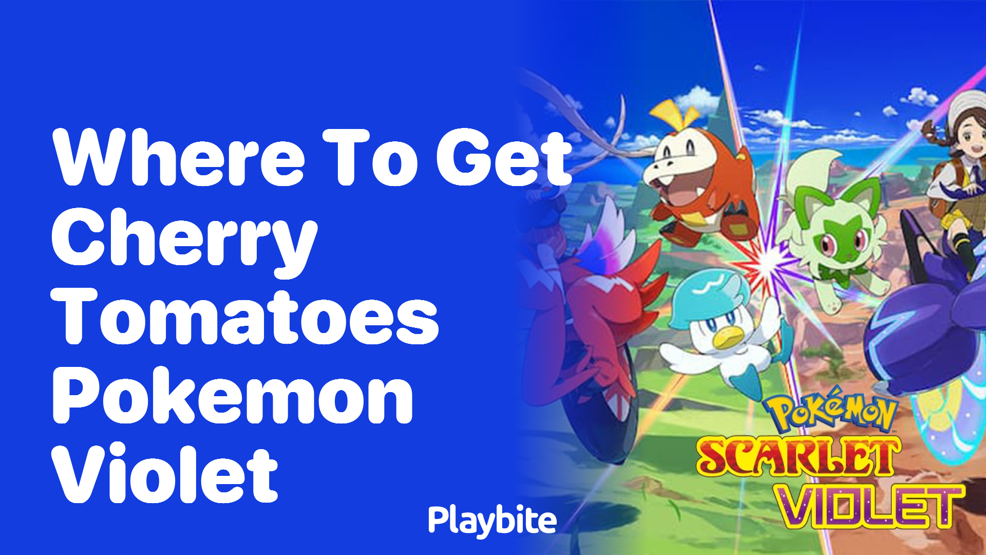 Where to get cherry tomatoes in Pokemon Violet - Playbite