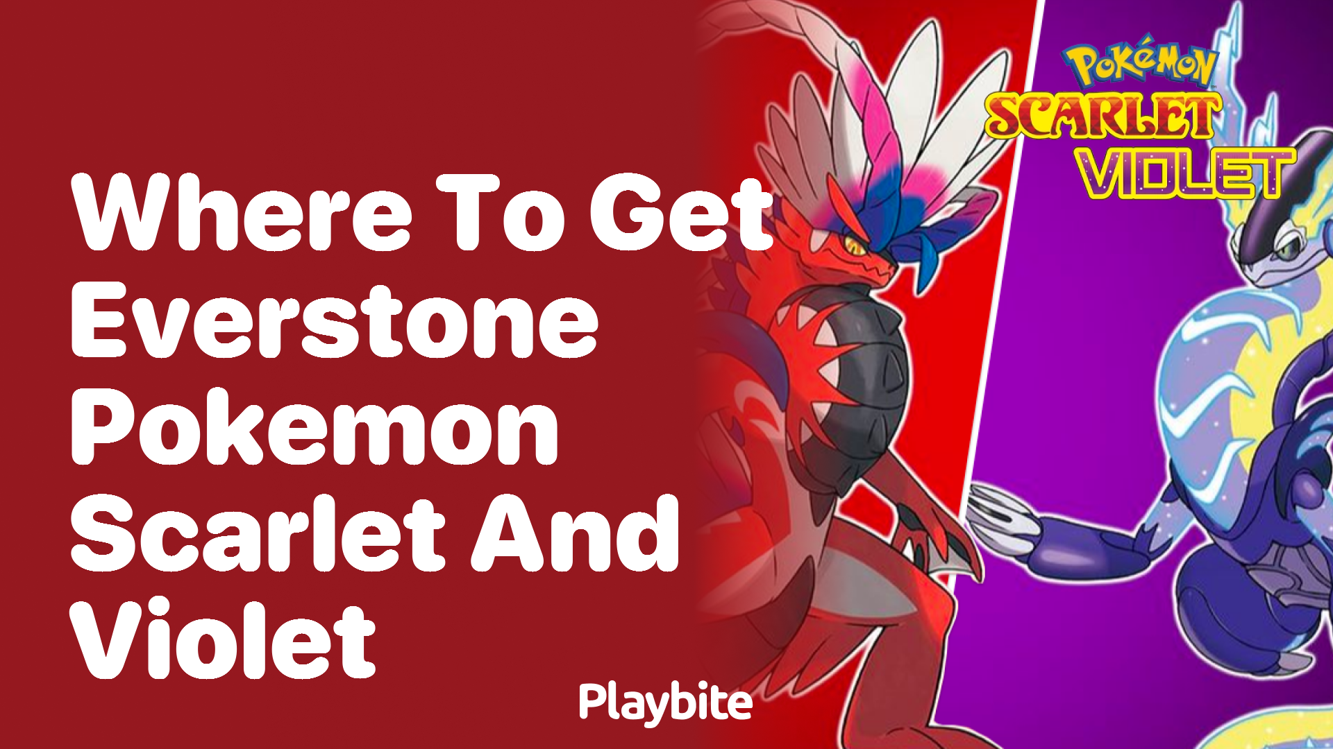 Where to get Everstone in Pokemon Scarlet and Violet - Playbite