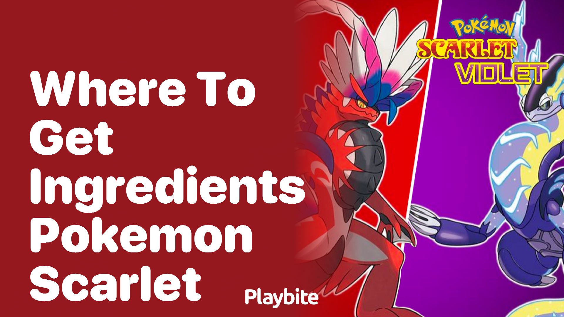 Where to Get Ingredients in Pokemon Scarlet - Playbite