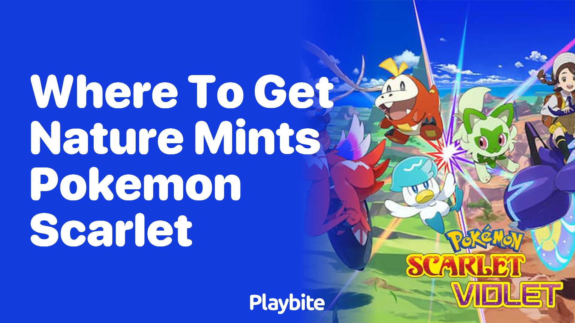 Where to Get Nature Mints in Pokemon Scarlet - Playbite