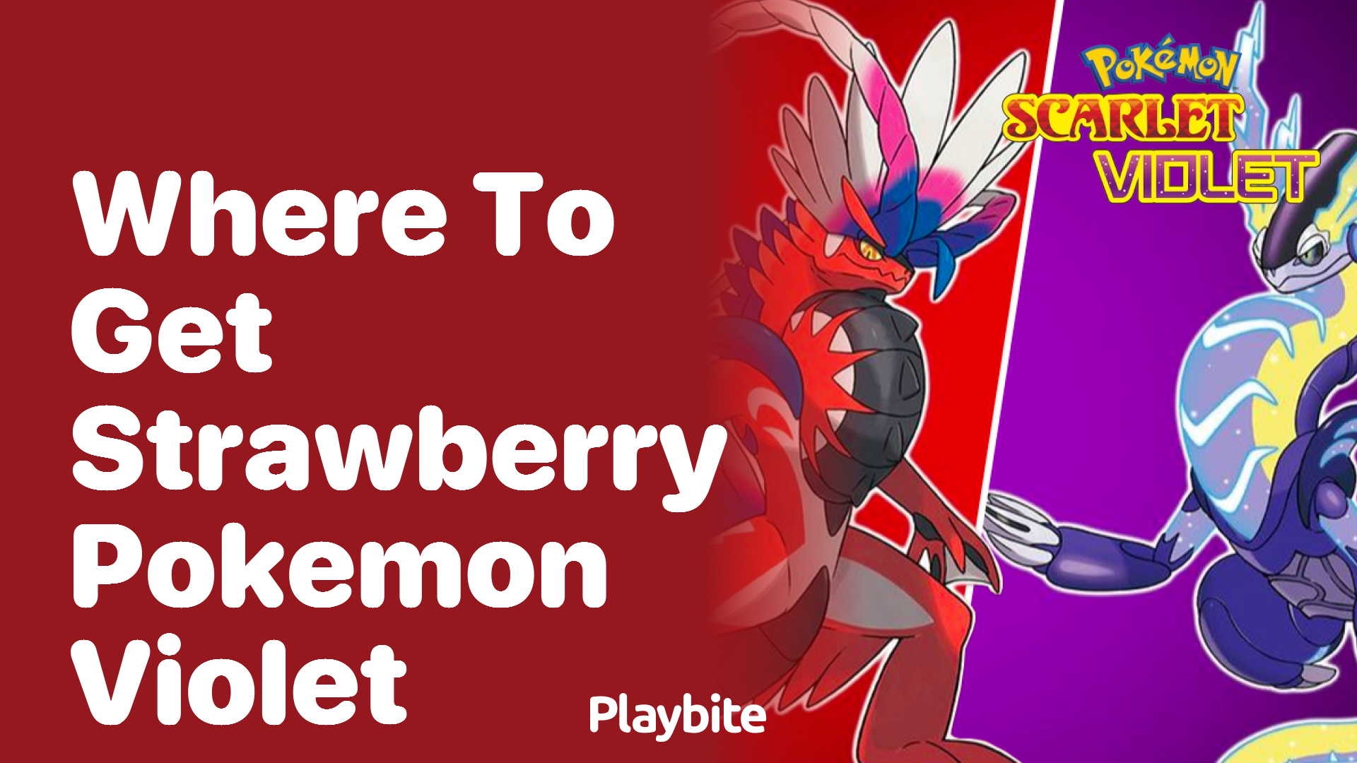 Where to Get Strawberry in Pokémon Violet - Playbite