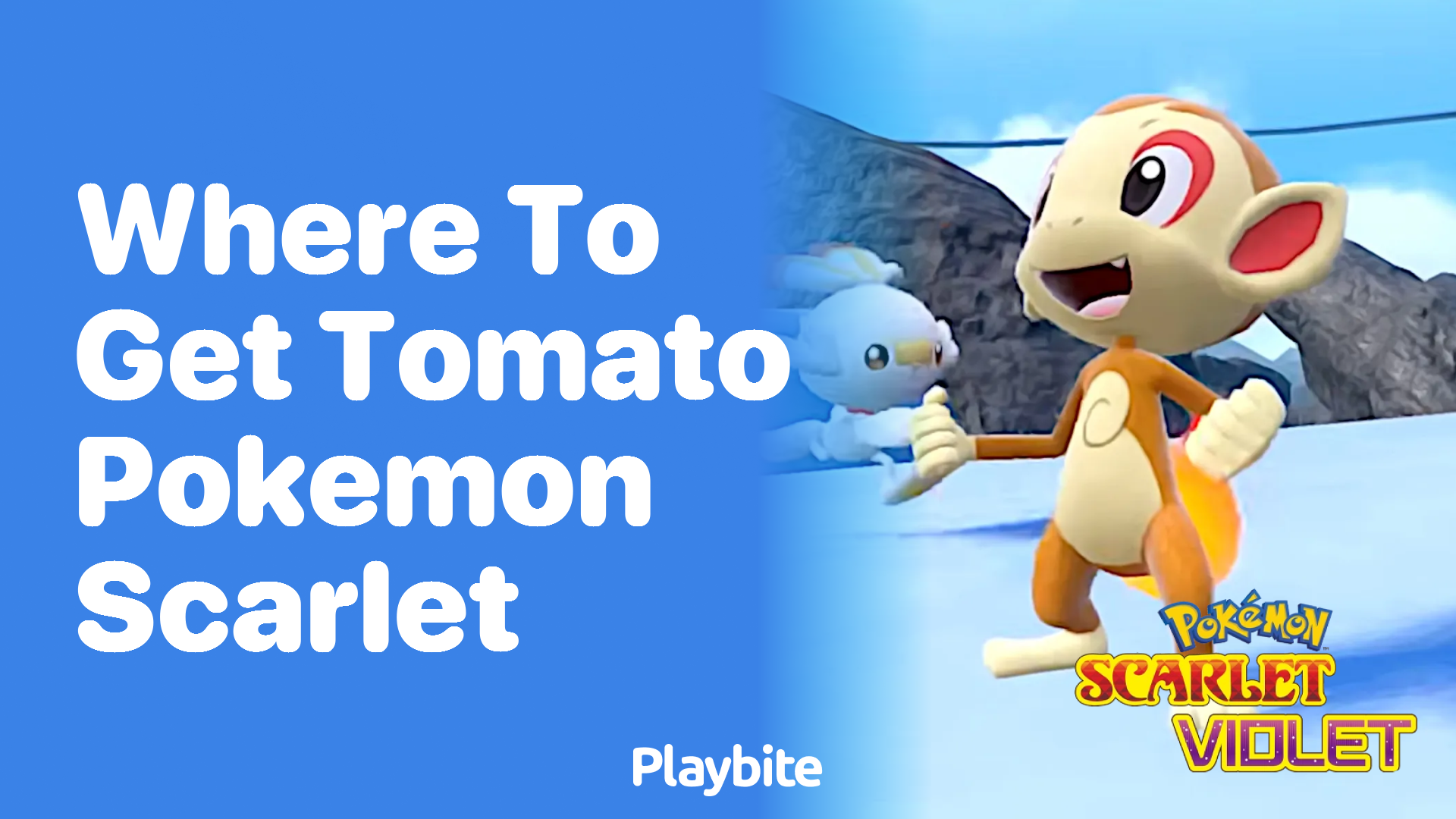 Where to Get Tomato in Pokemon Scarlet - Playbite