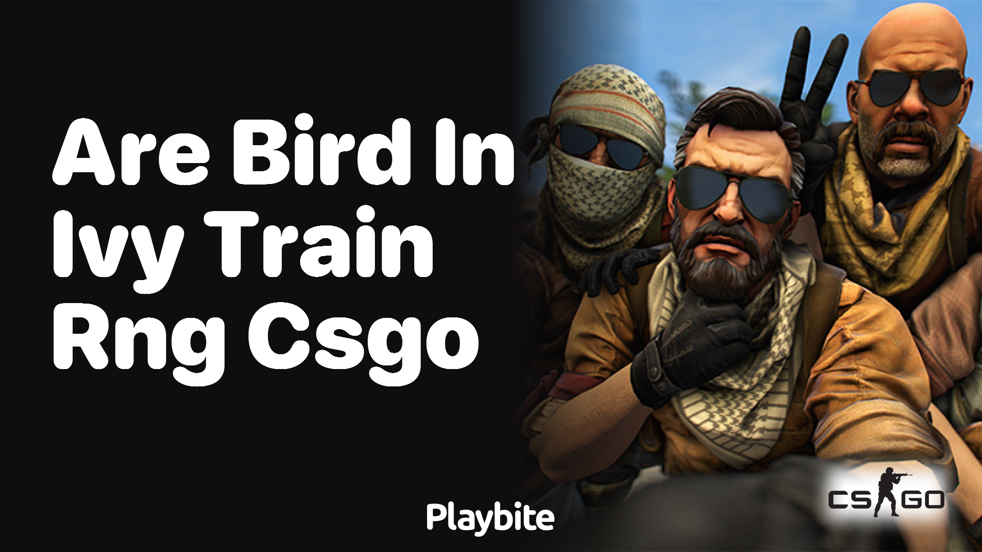 Are birds in Ivy on Train random in CS:GO? - Playbite