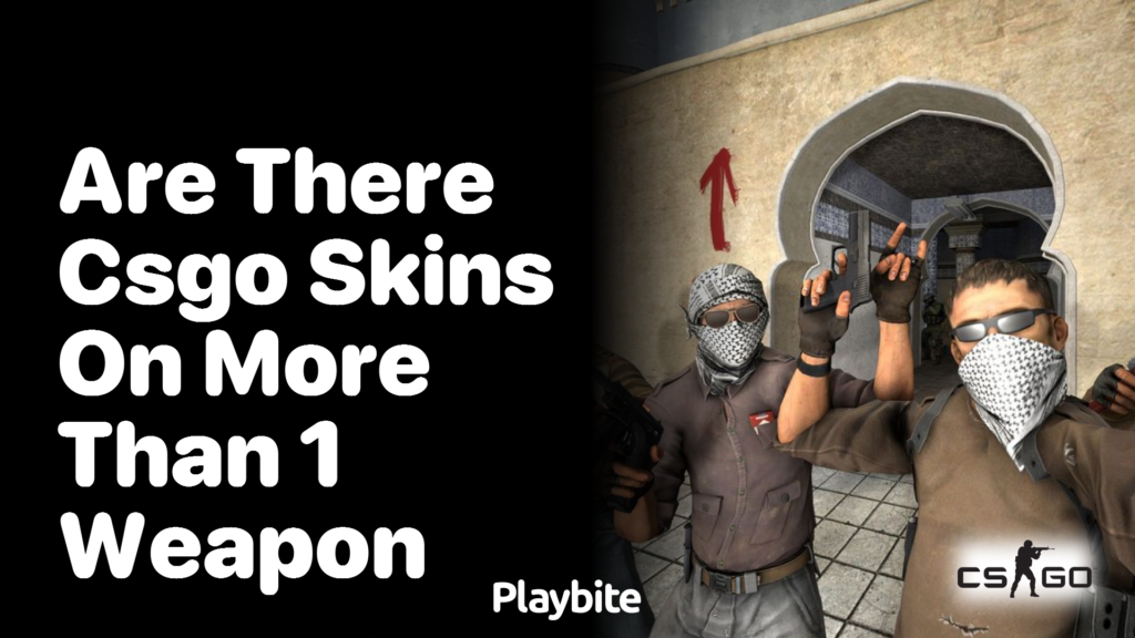 Are there CS:GO skins available for more than one weapon? - Playbite