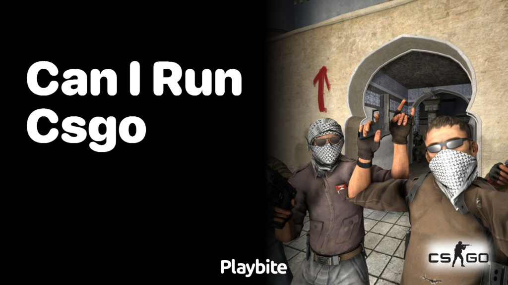 Can I run CS:GO on my computer? - Playbite
