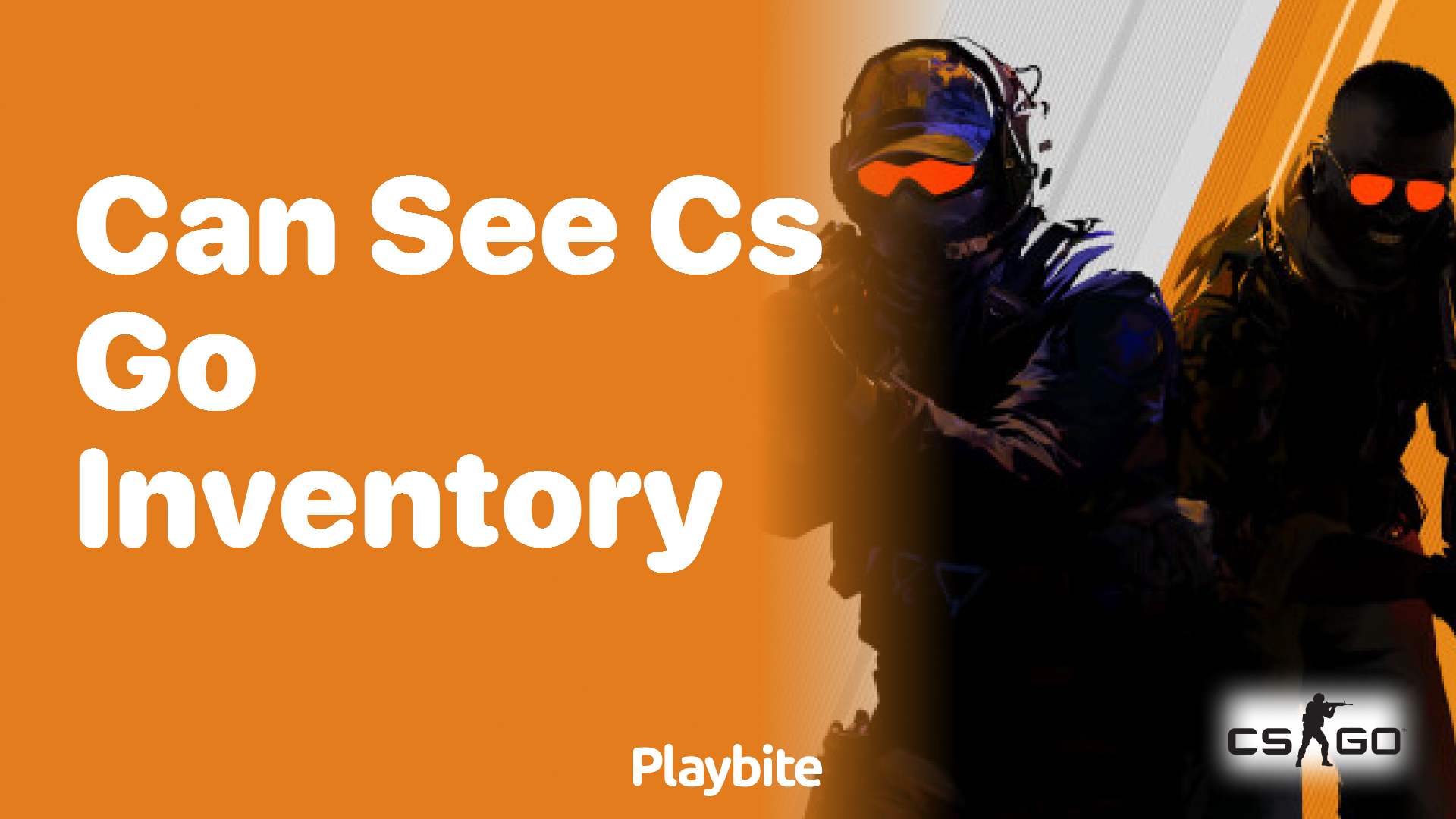 Can You See Cs Go Inventory Playbite