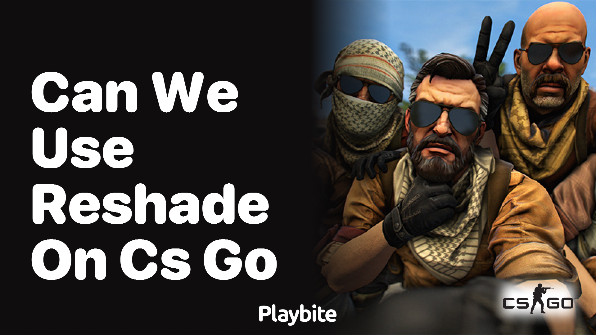 Can we use ReShade on CS:GO? - Playbite