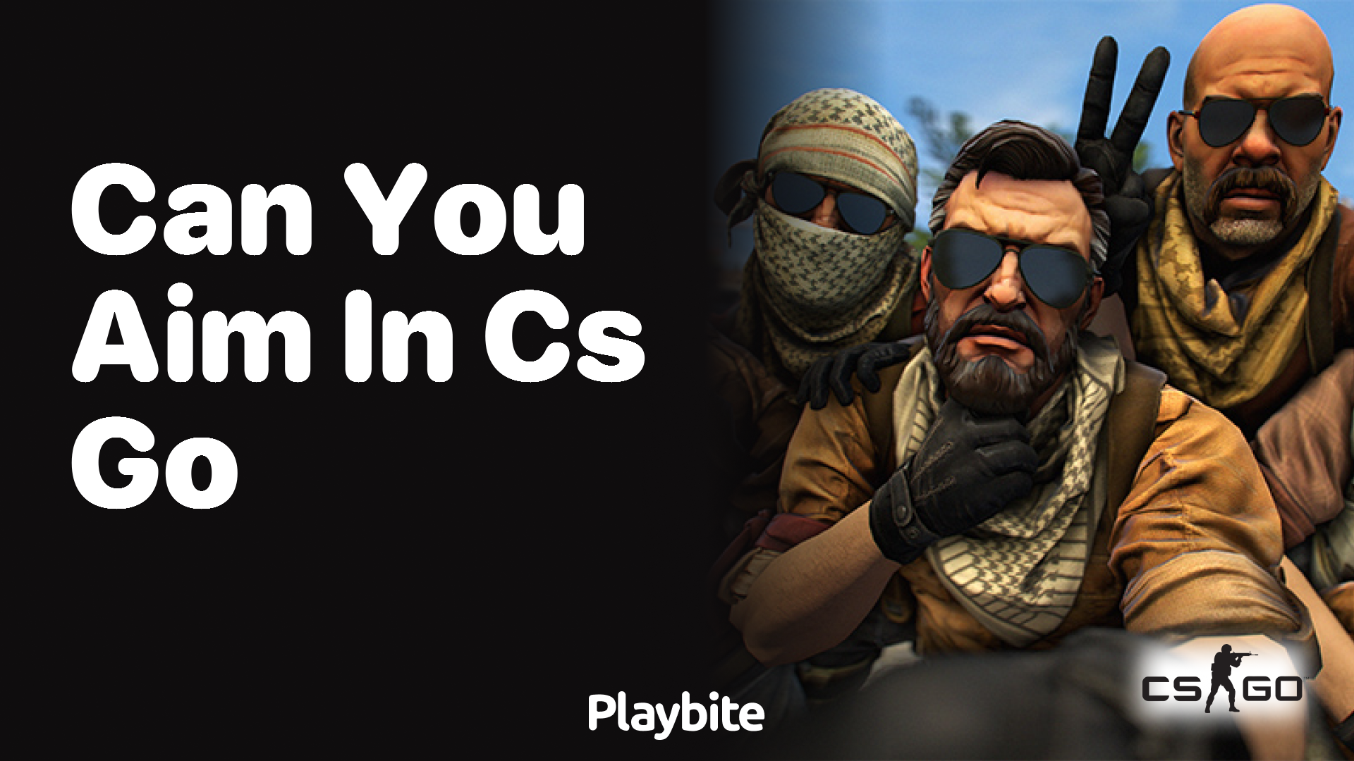 Can you aim in CS:GO? - Playbite