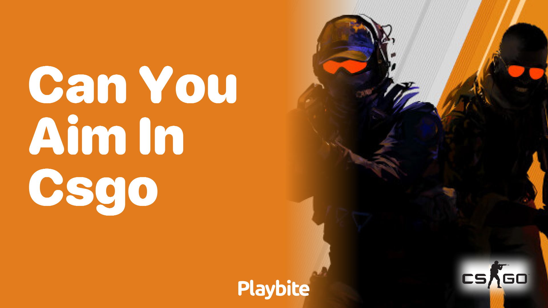 Can you aim in CS:GO? - Playbite
