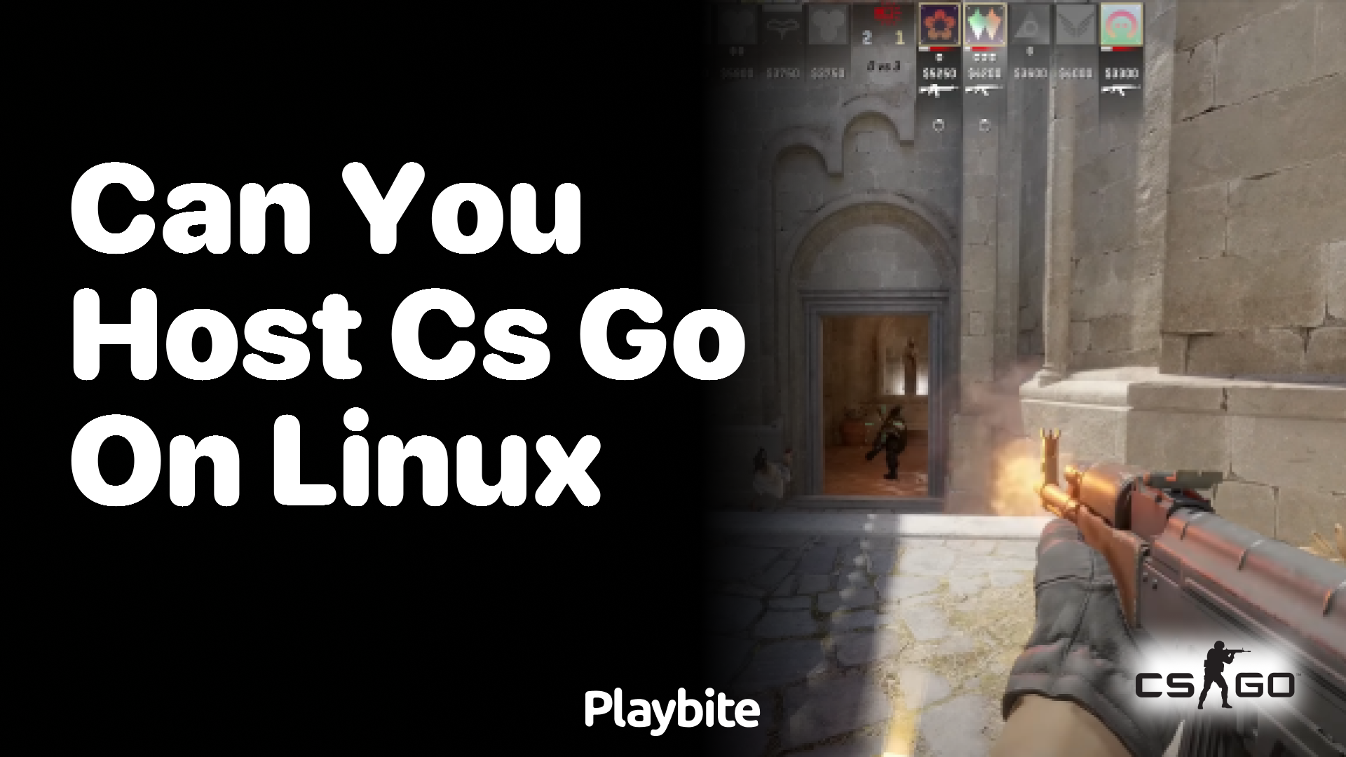 Can You Host Csgo On Linux Playbite