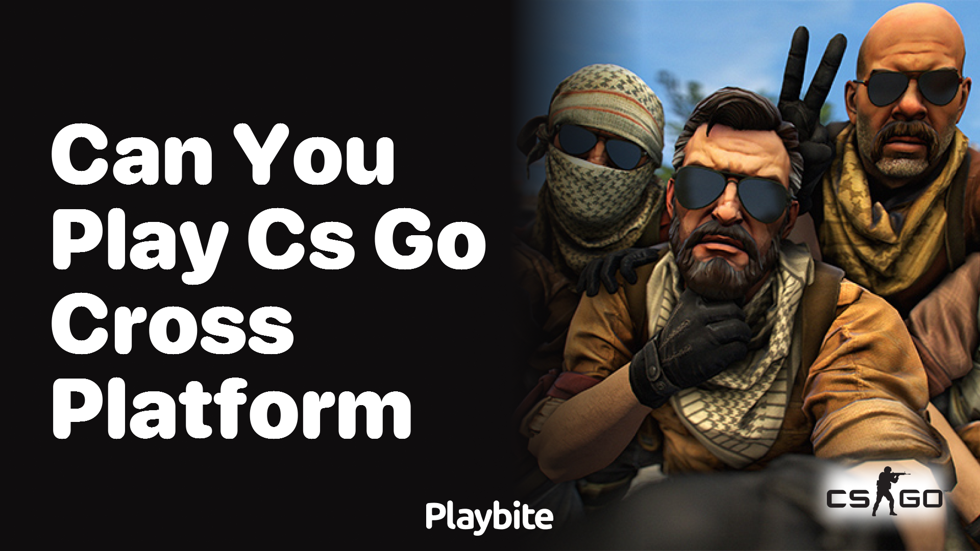 Can You Play CS:GO Cross-Platform? - Playbite