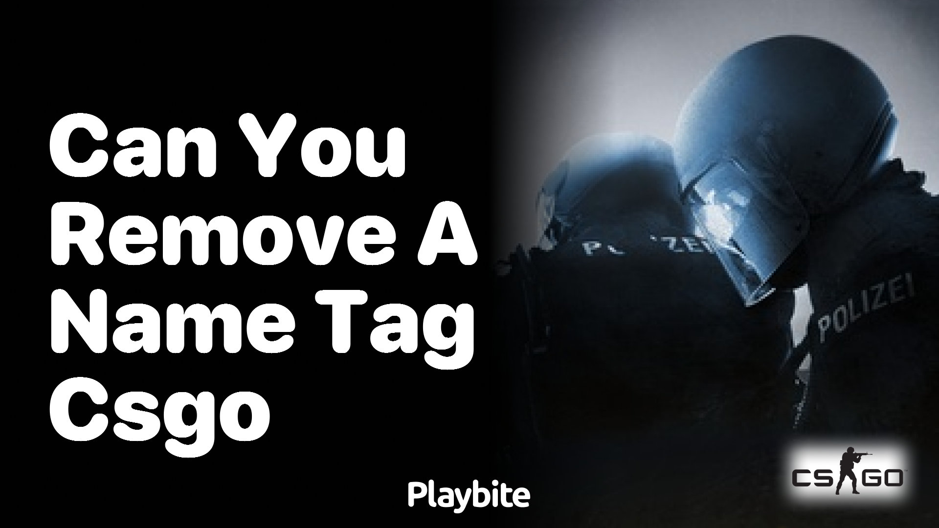 Can you remove a name tag in CS:GO? - Playbite