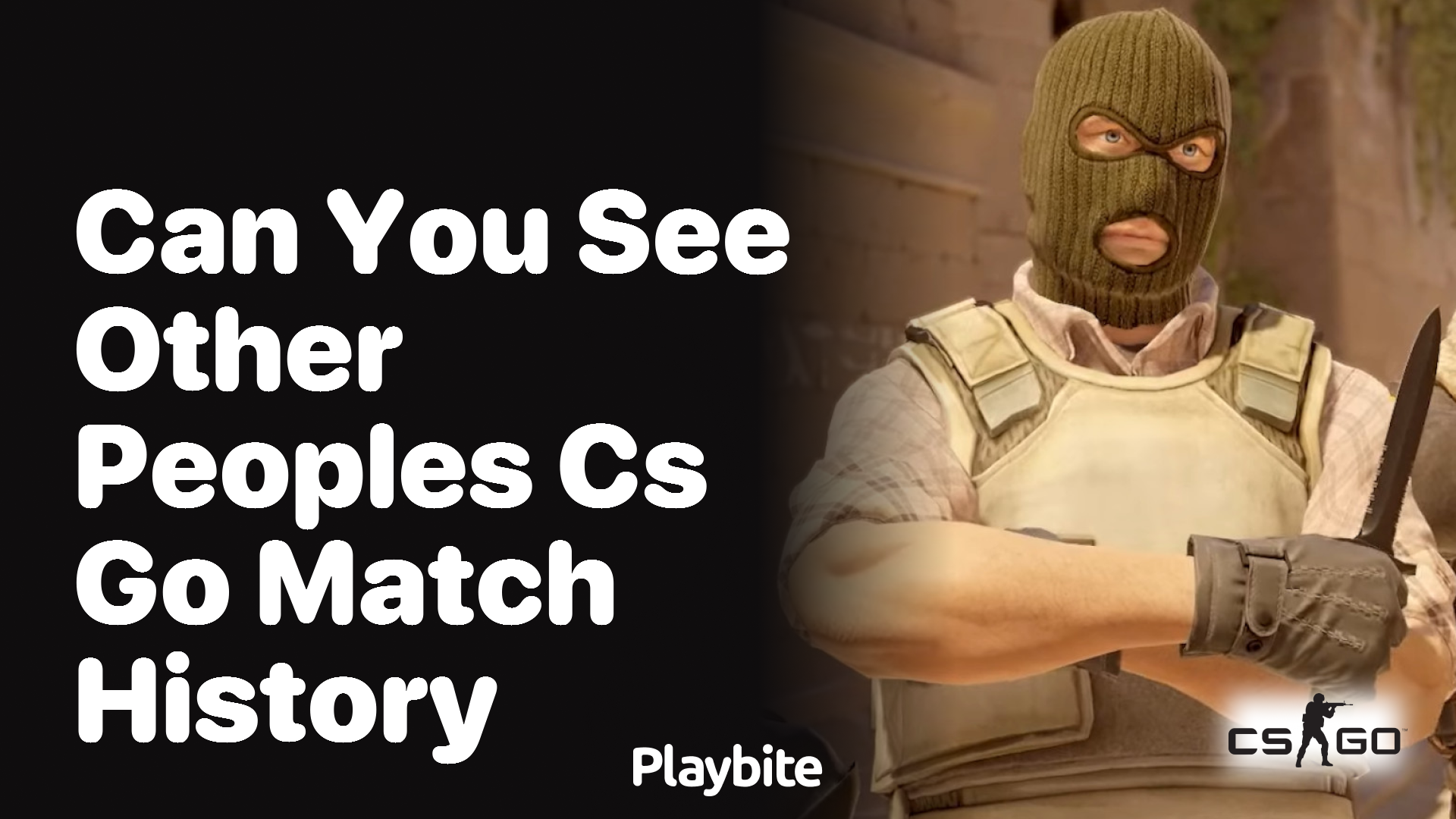 Can you see other people's CS:GO match history? - Playbite