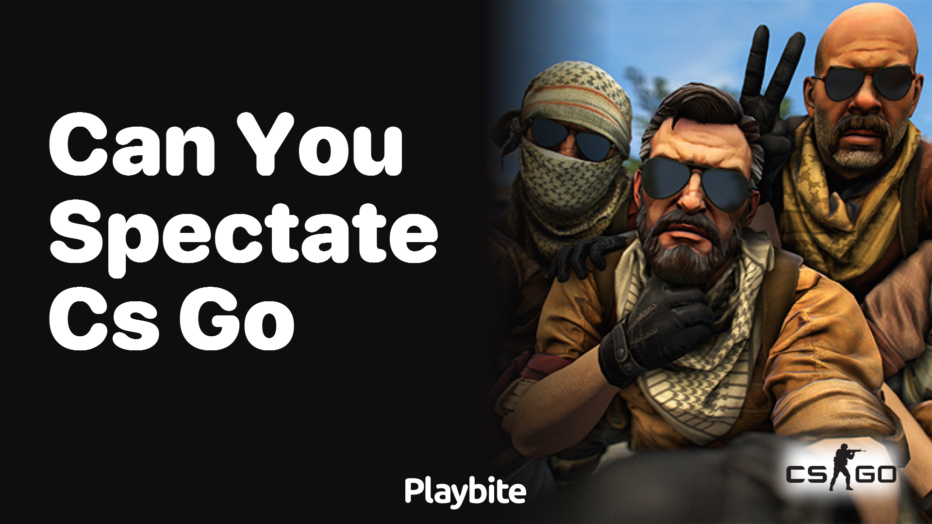 Can you spectate CS:GO? - Playbite