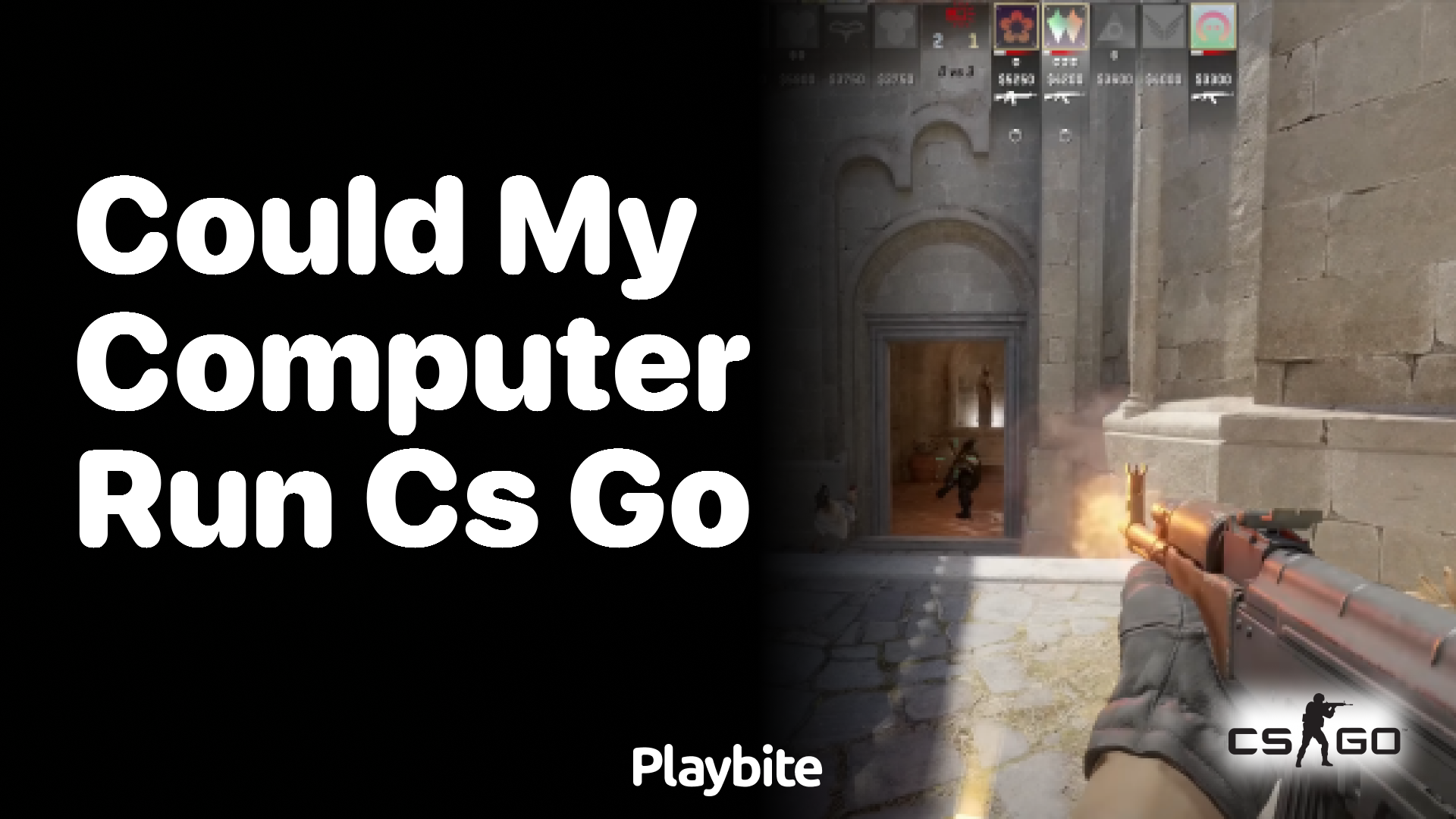 Could my computer run CS:GO? - Playbite
