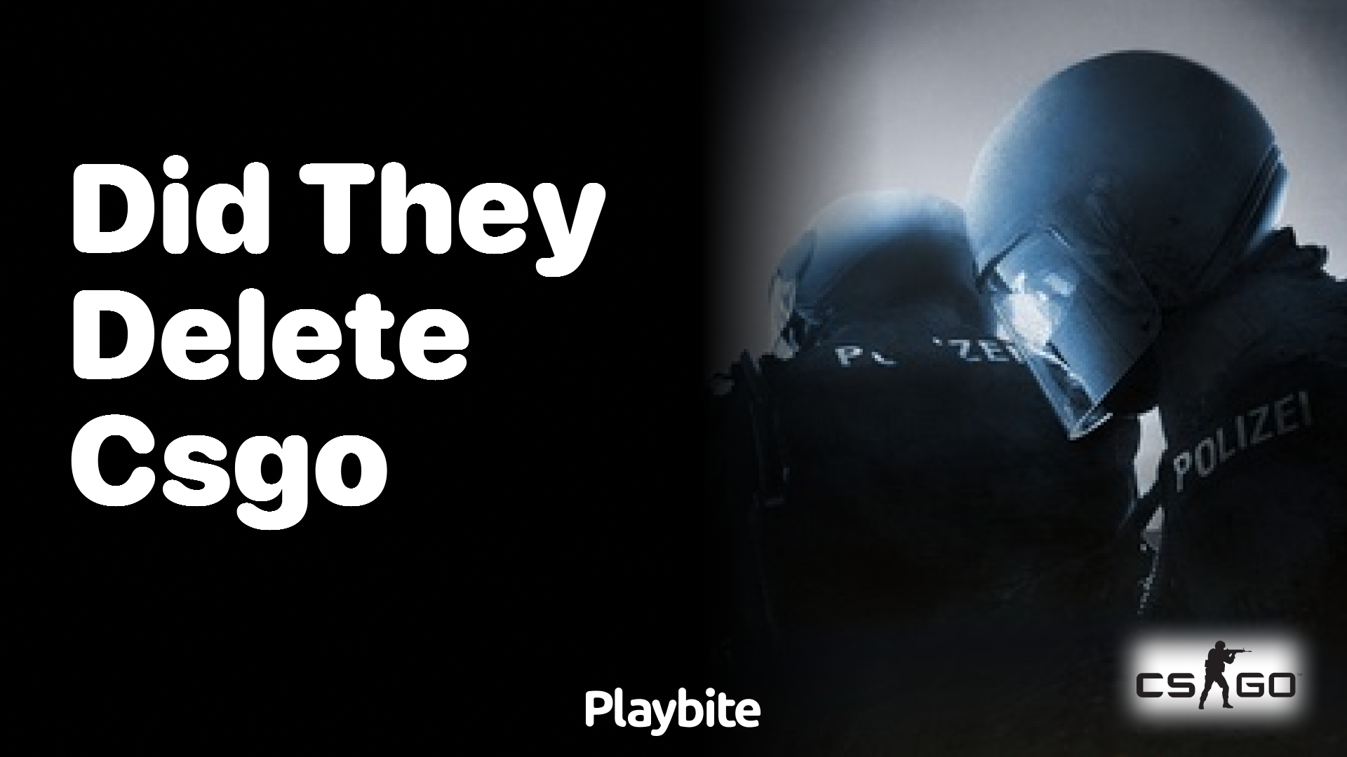 Did they delete CSGO? - Playbite