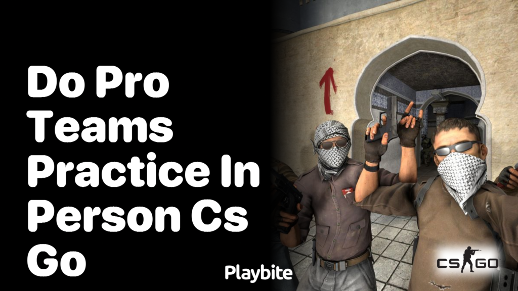 Do Pro Teams Practice in Person for CS:GO? - Playbite