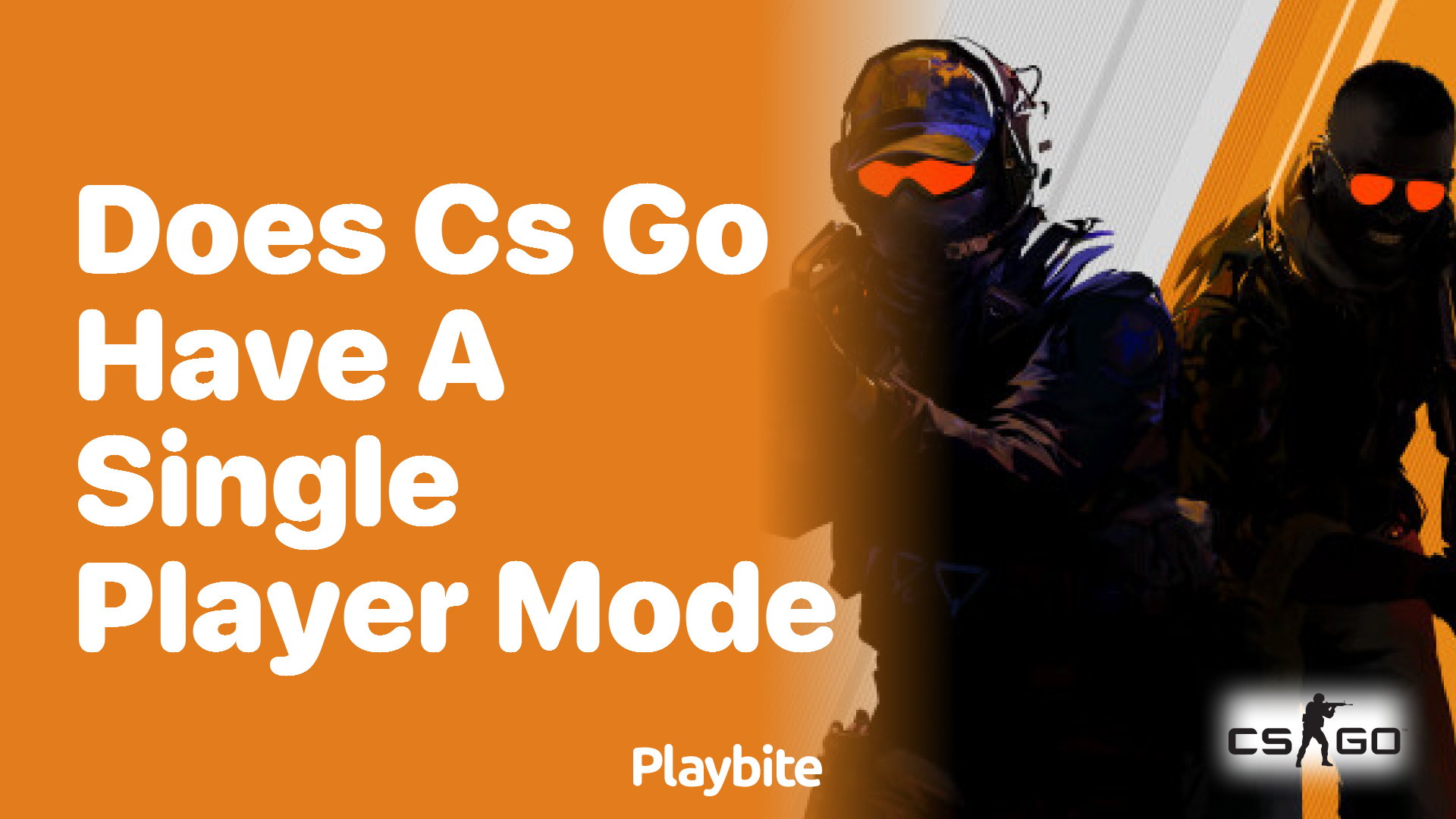 Does CS:GO have a single player mode? - Playbite