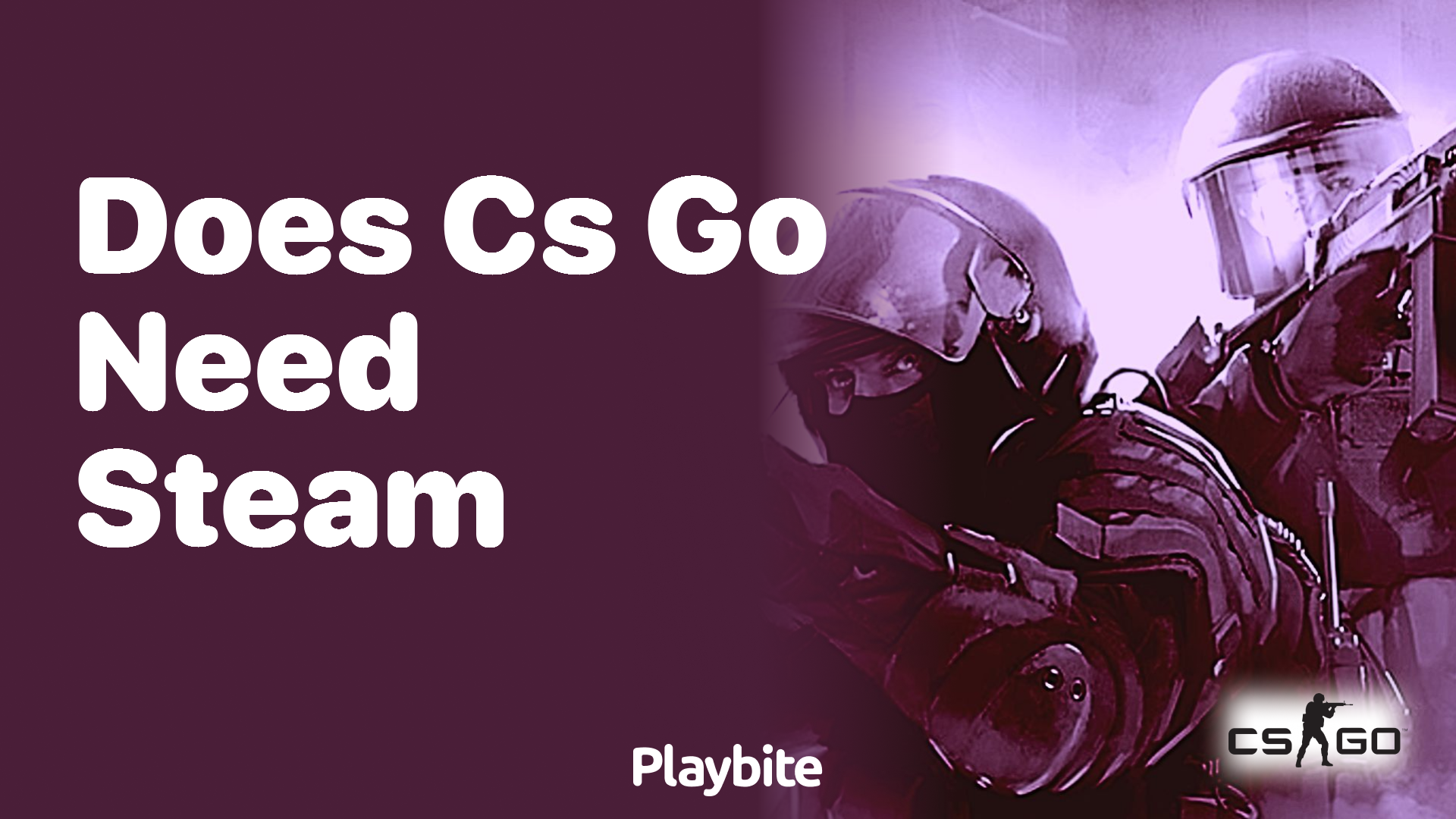Does CS:GO need Steam? - Playbite