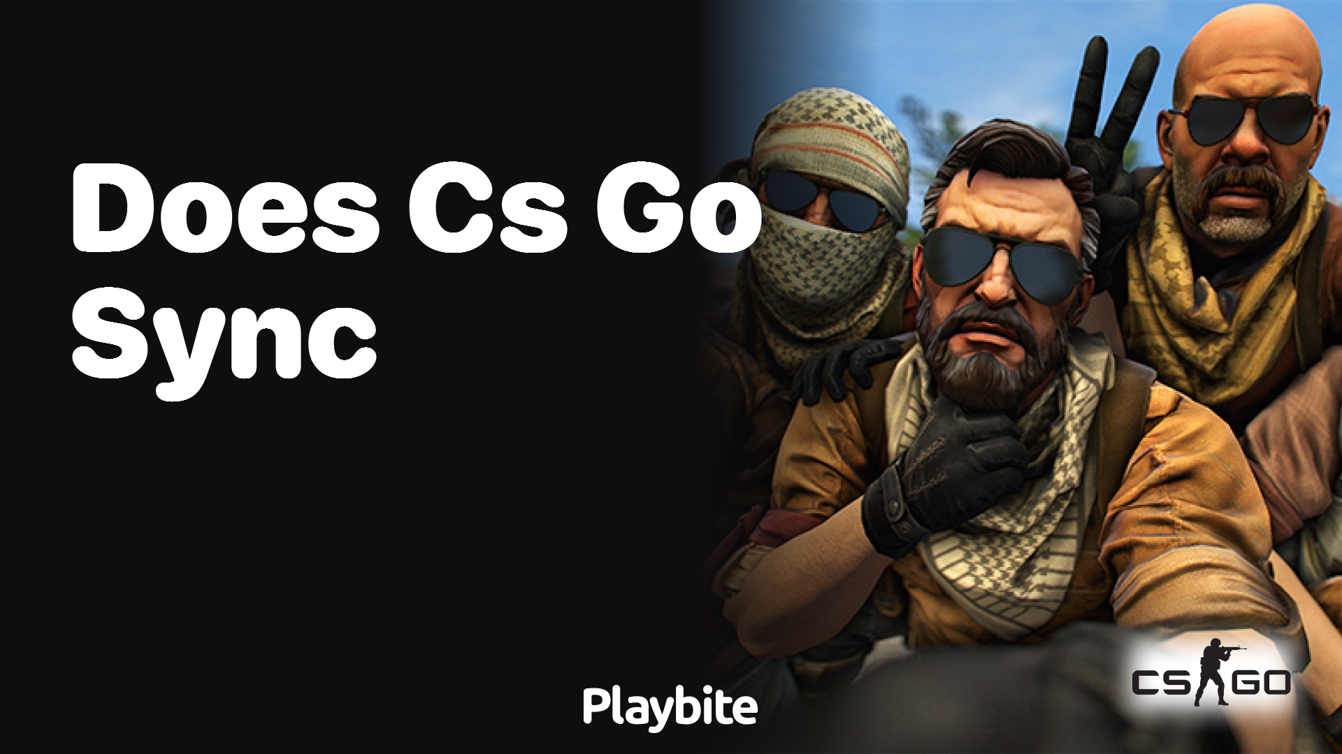 Does CS:GO sync? - Playbite