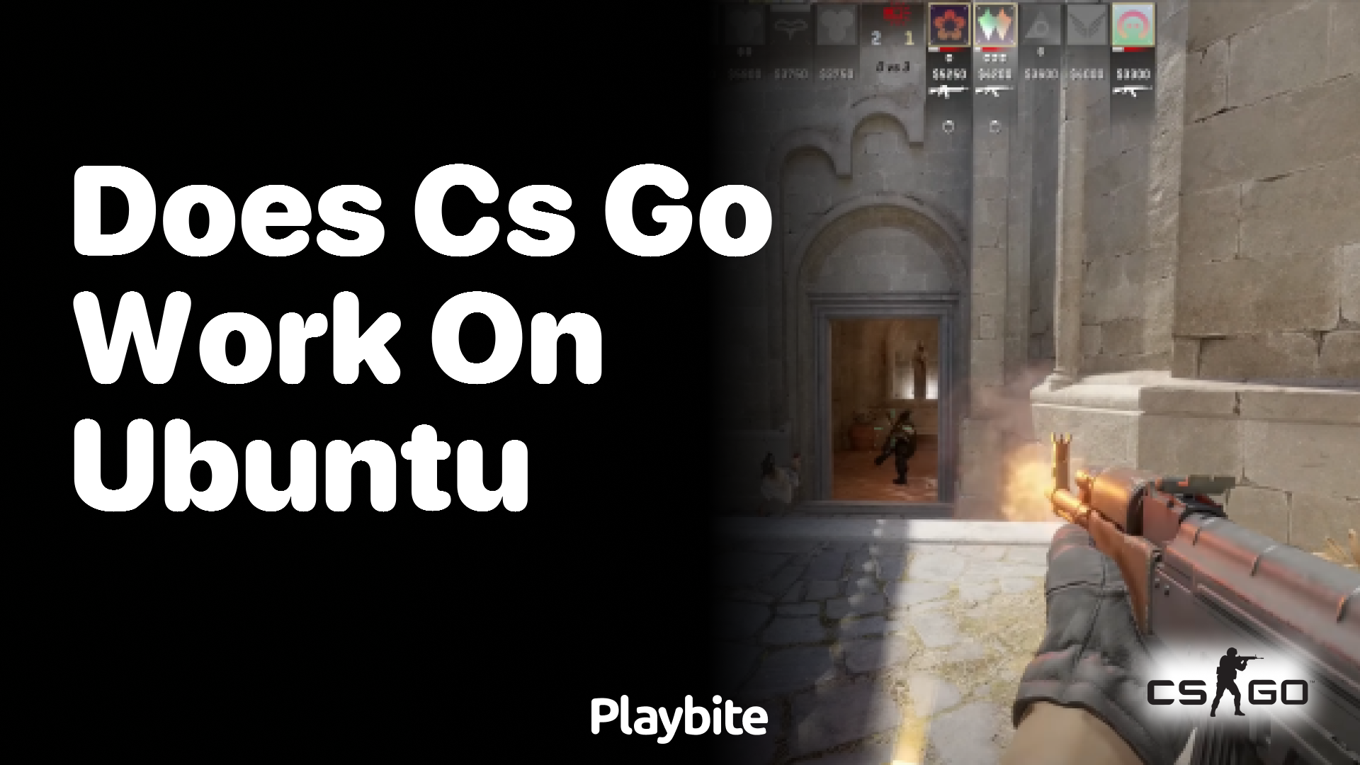 Does CS:GO work on Ubuntu? - Playbite