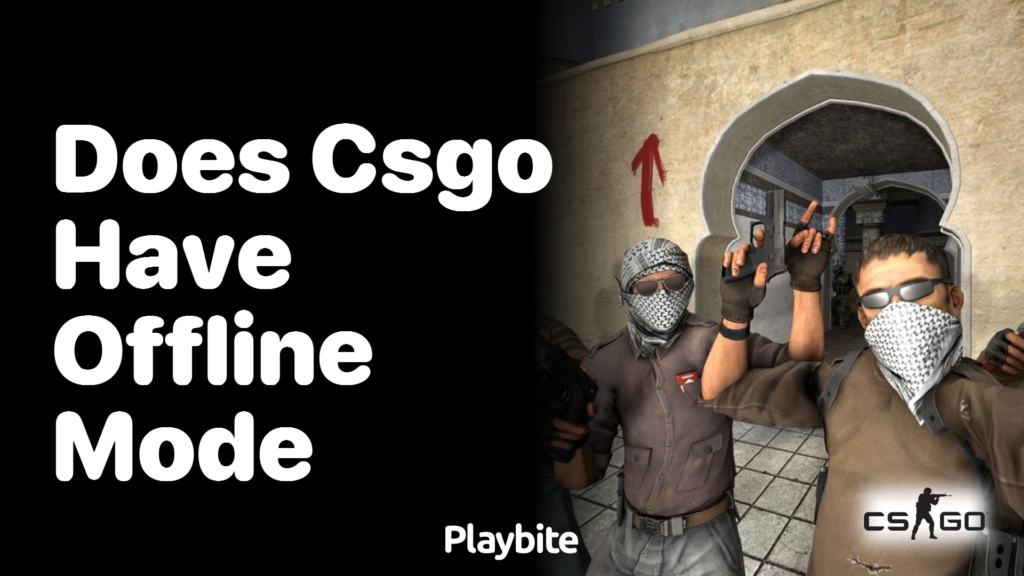 Does CS:GO have an offline mode? - Playbite