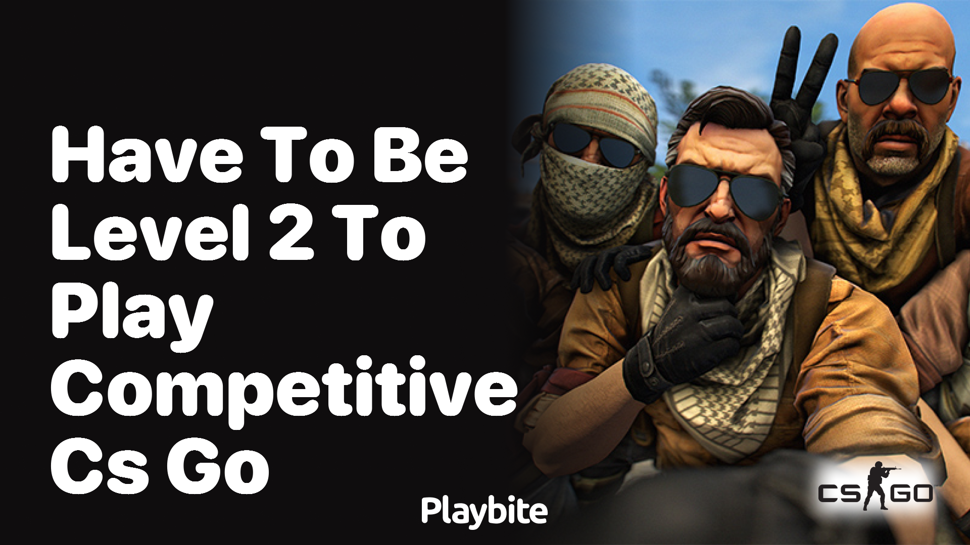 Do You Have to Be Level 2 to Play Competitive CS:GO? - Playbite