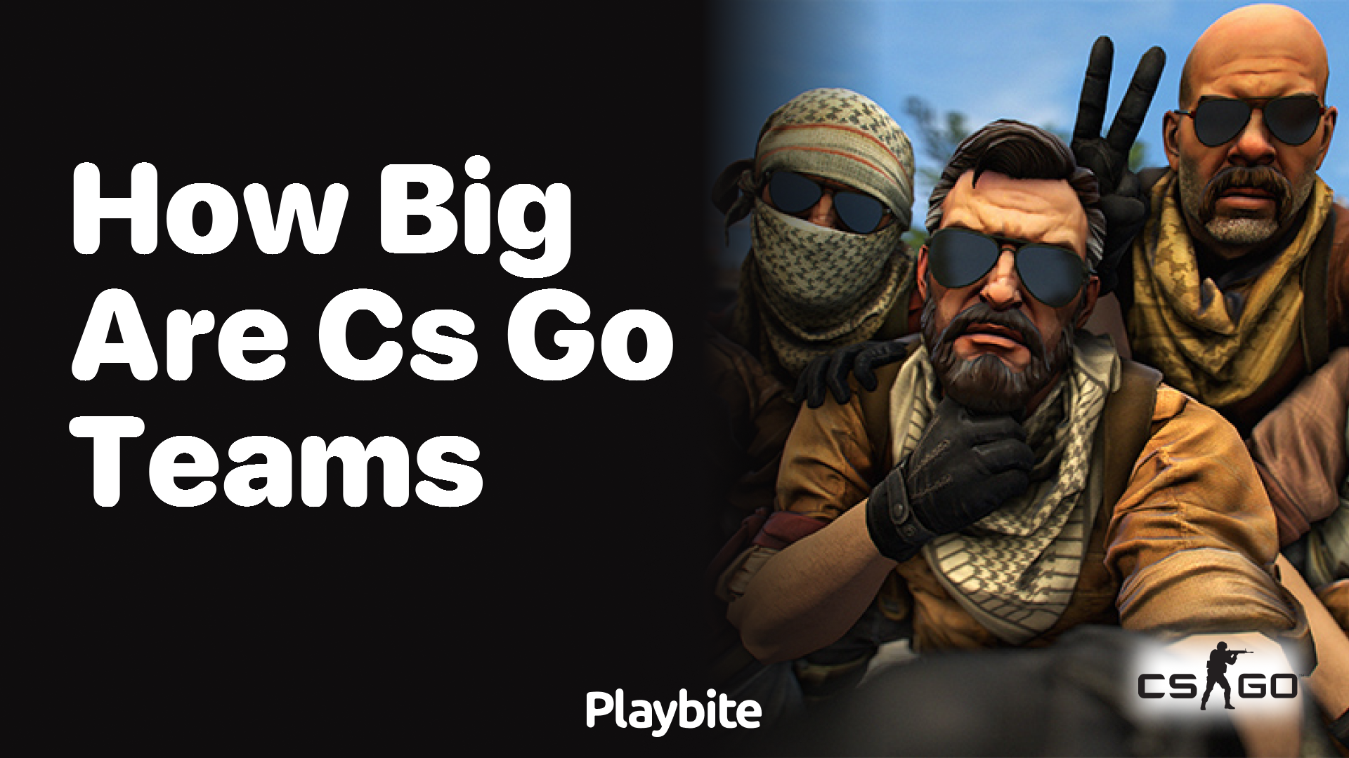 How big are CS:GO teams? - Playbite