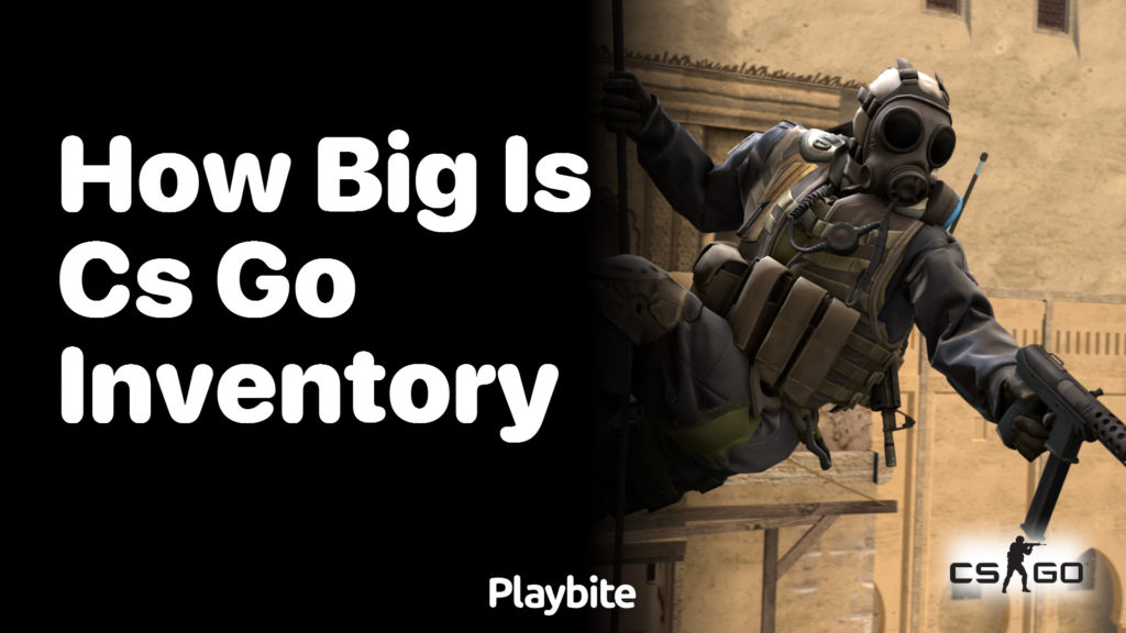 How Big is the CS:GO Inventory? - Playbite