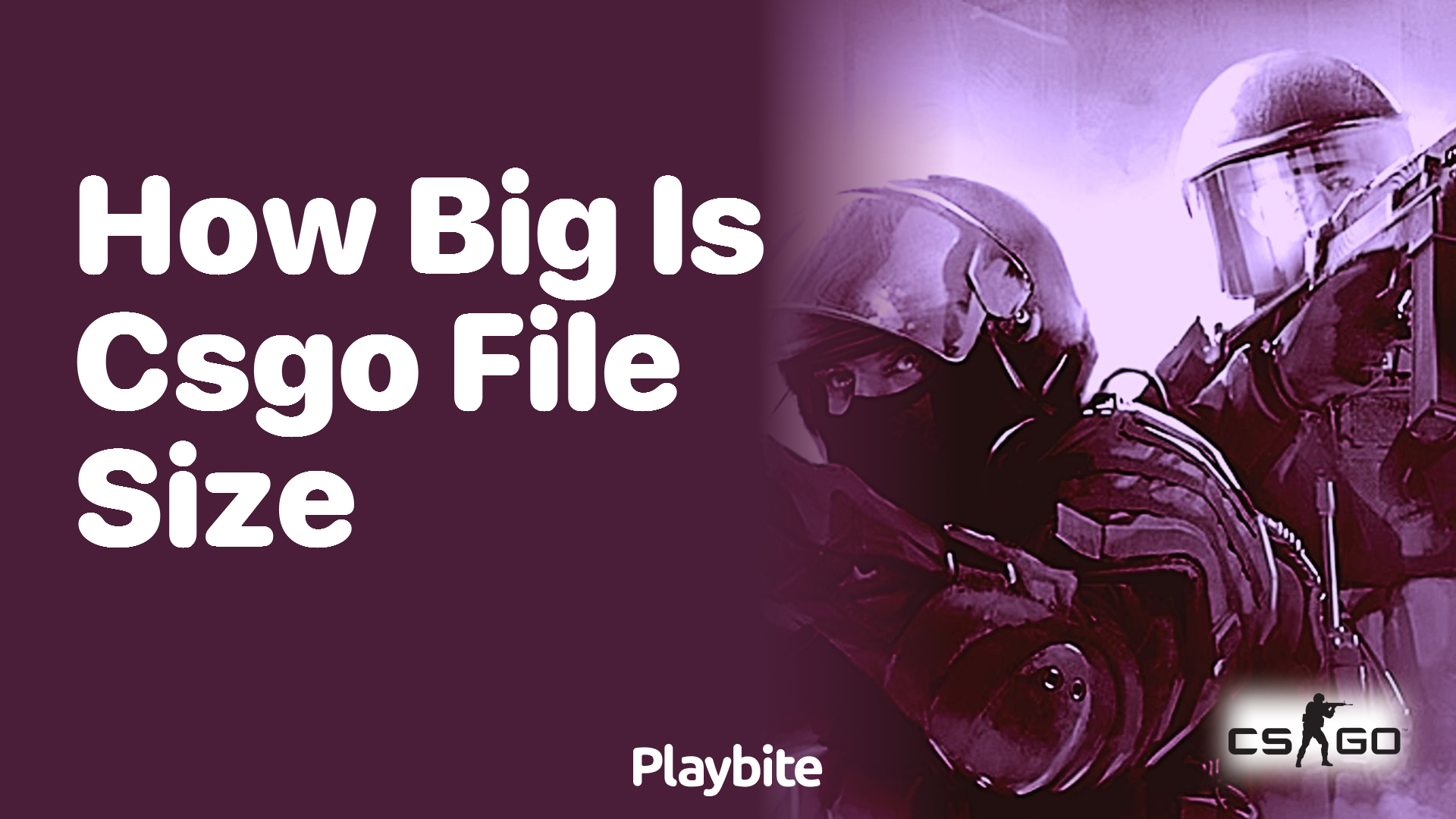 How big is the CS:GO file size? - Playbite