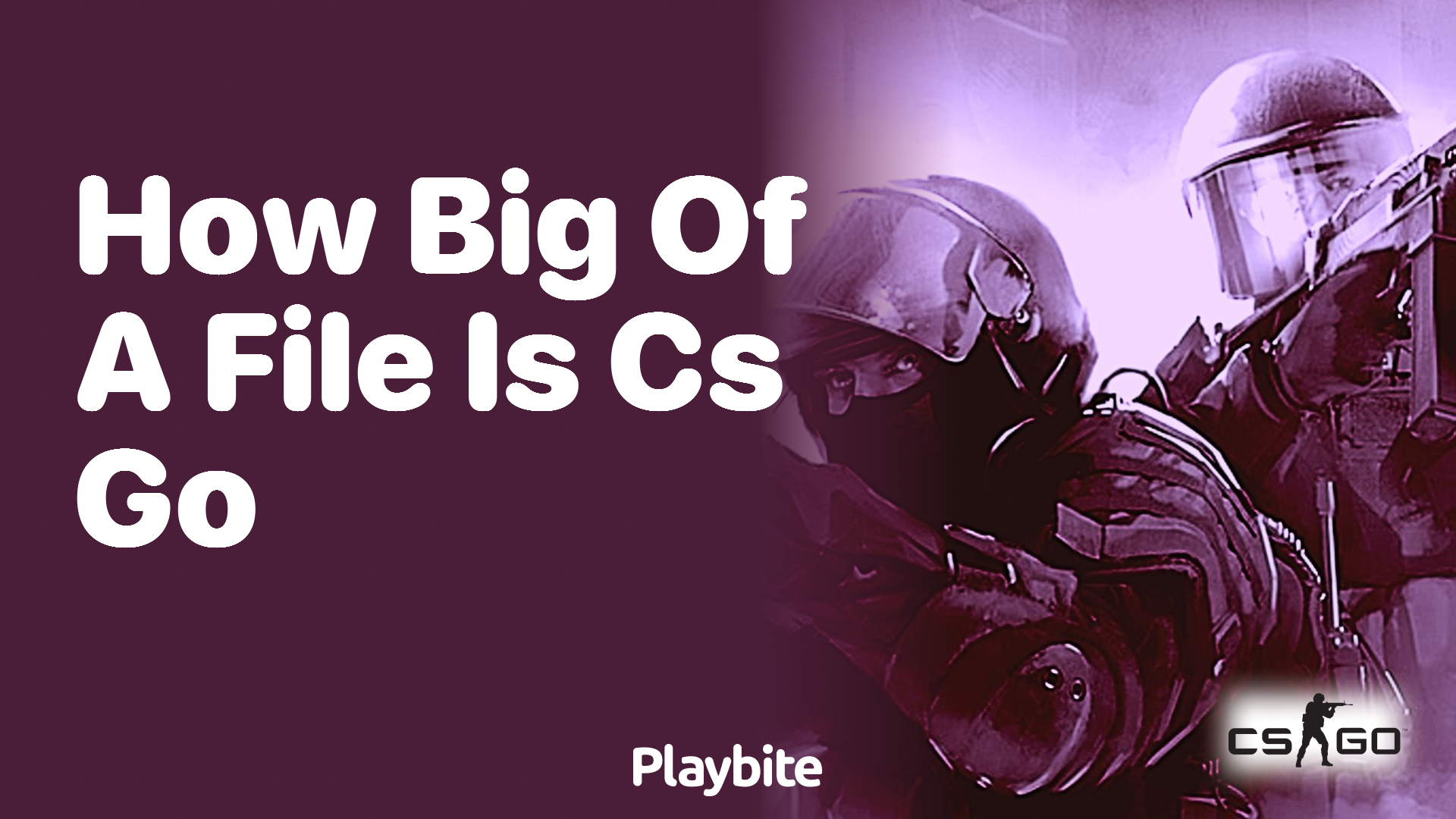 How big is the CS:GO file? - Playbite