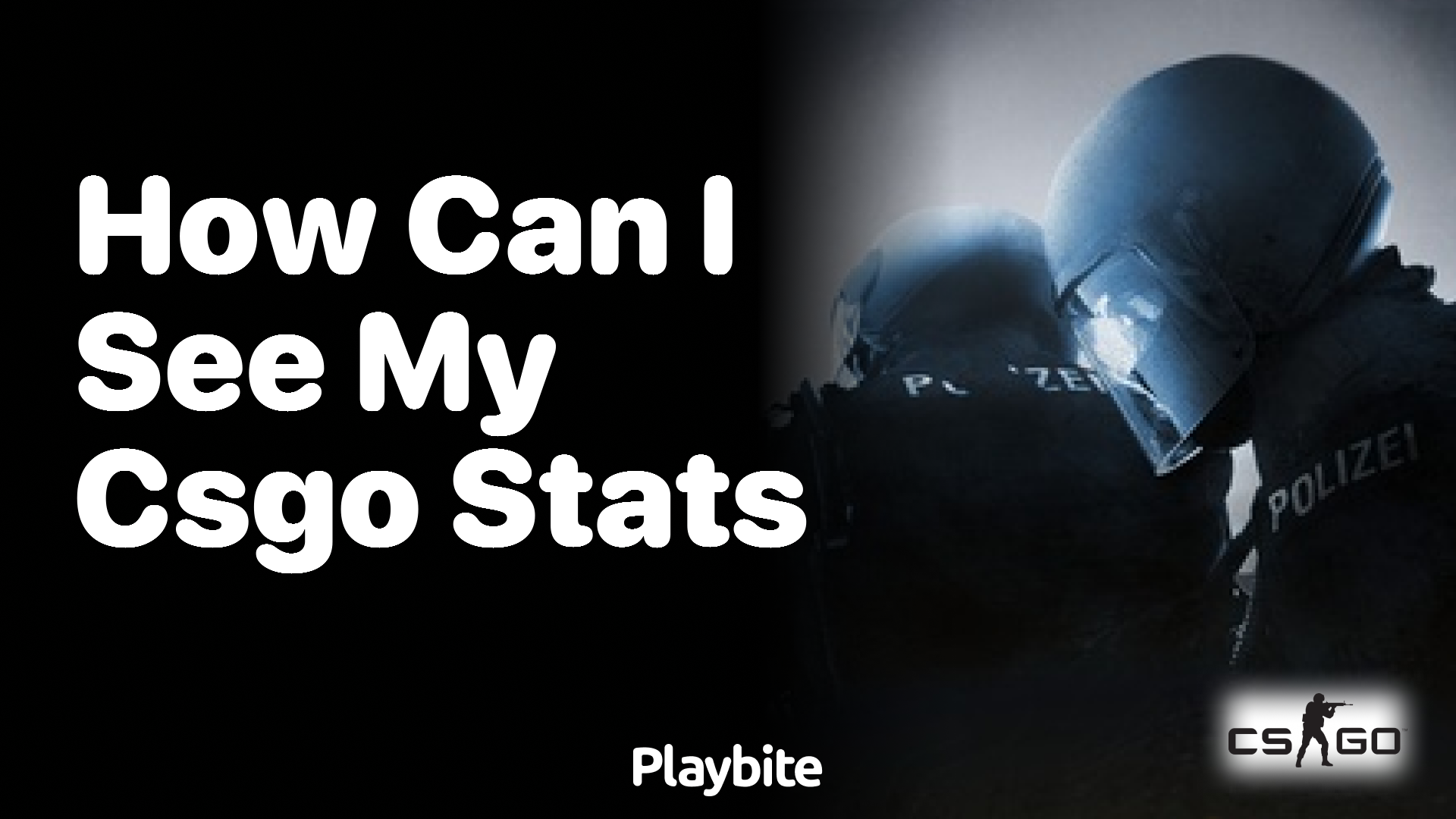 How can I see my CS:GO stats? - Playbite