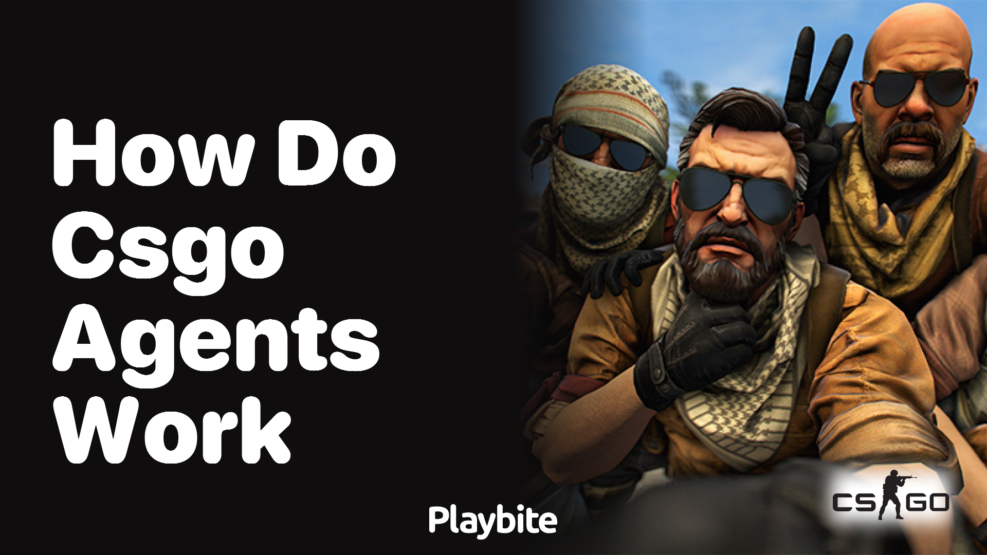How do CS:GO agents work? - Playbite